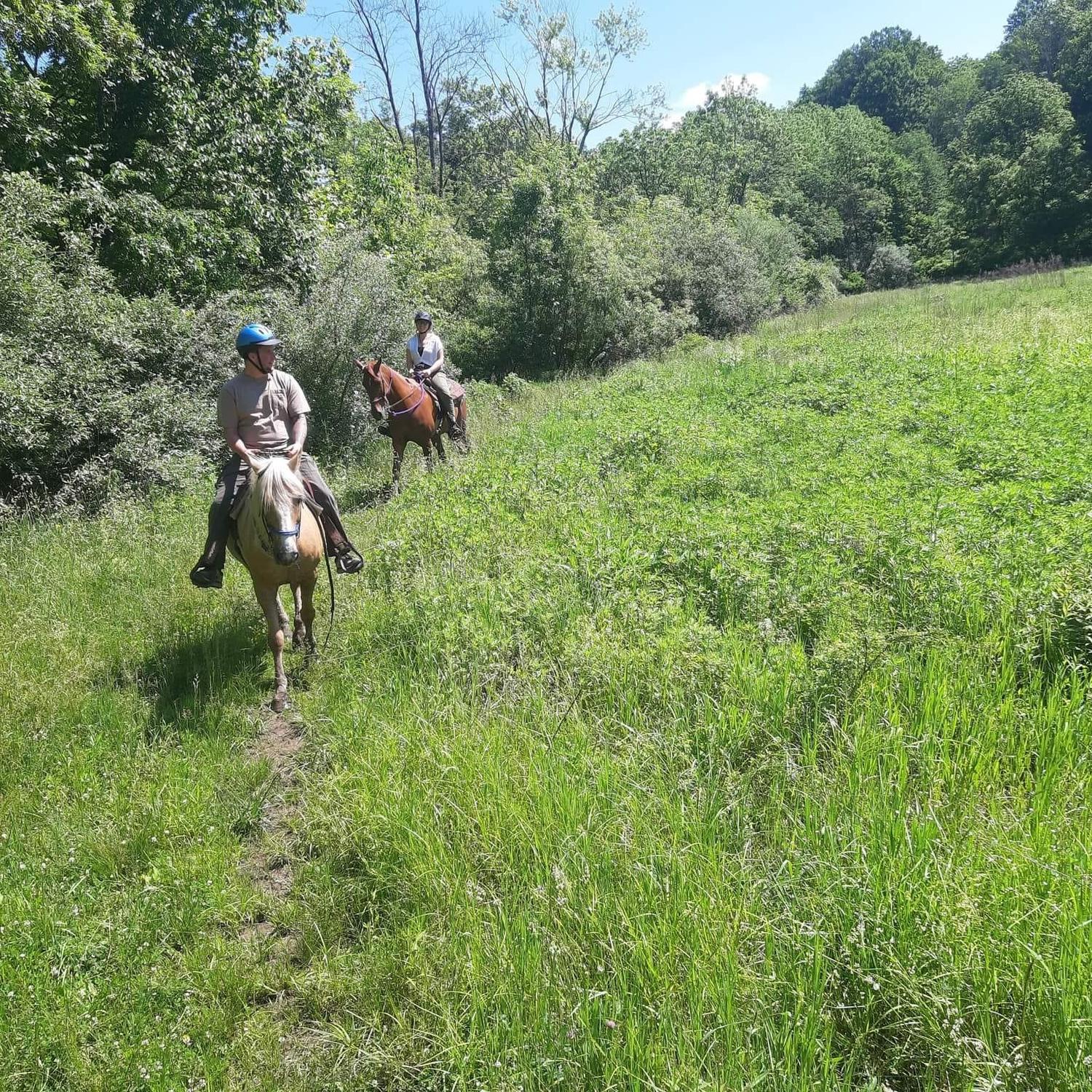 Amanda Stojanov and Alexander Donoghue's Wedding Website