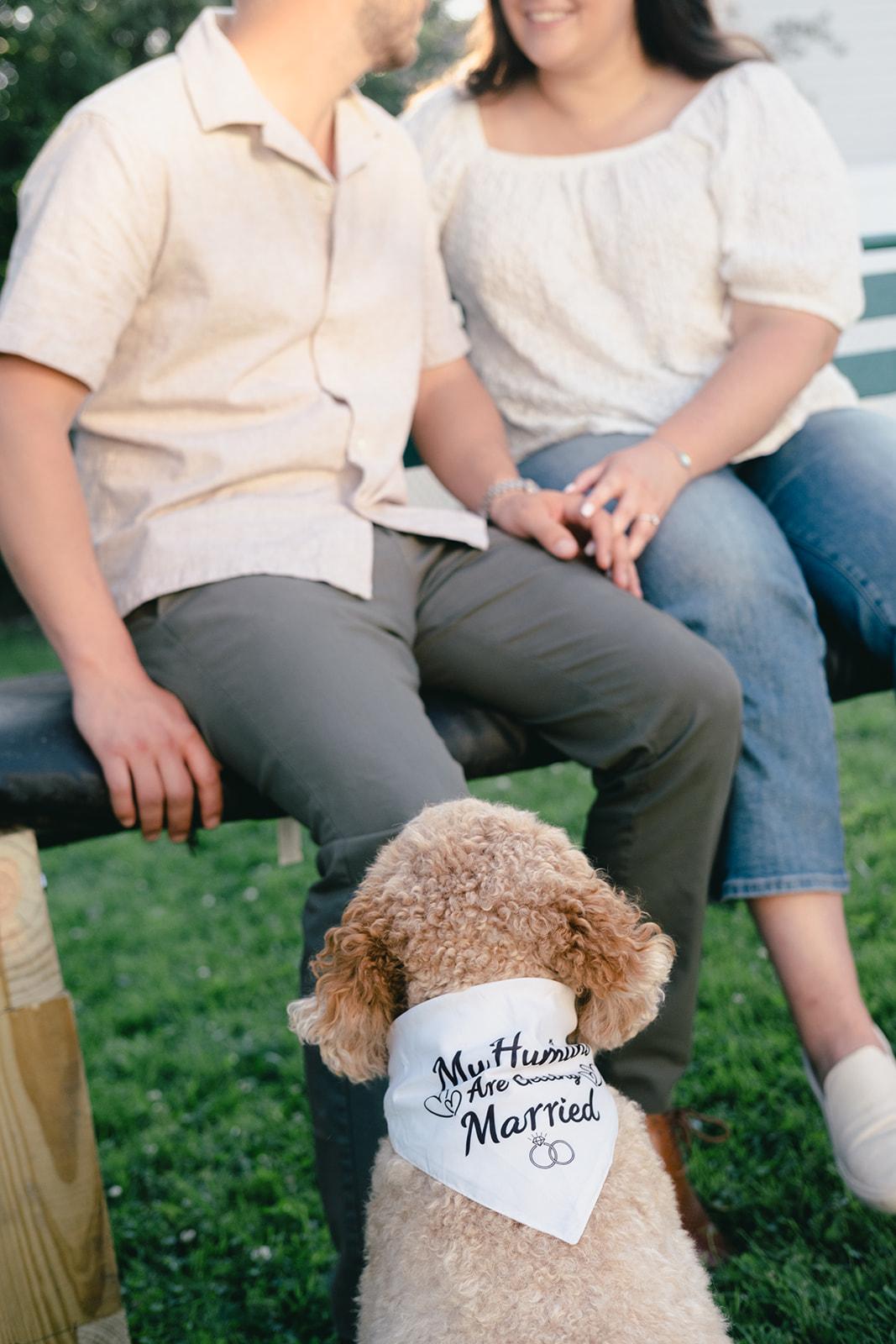 Natalie Lumsden and Jace Blout's Wedding Website