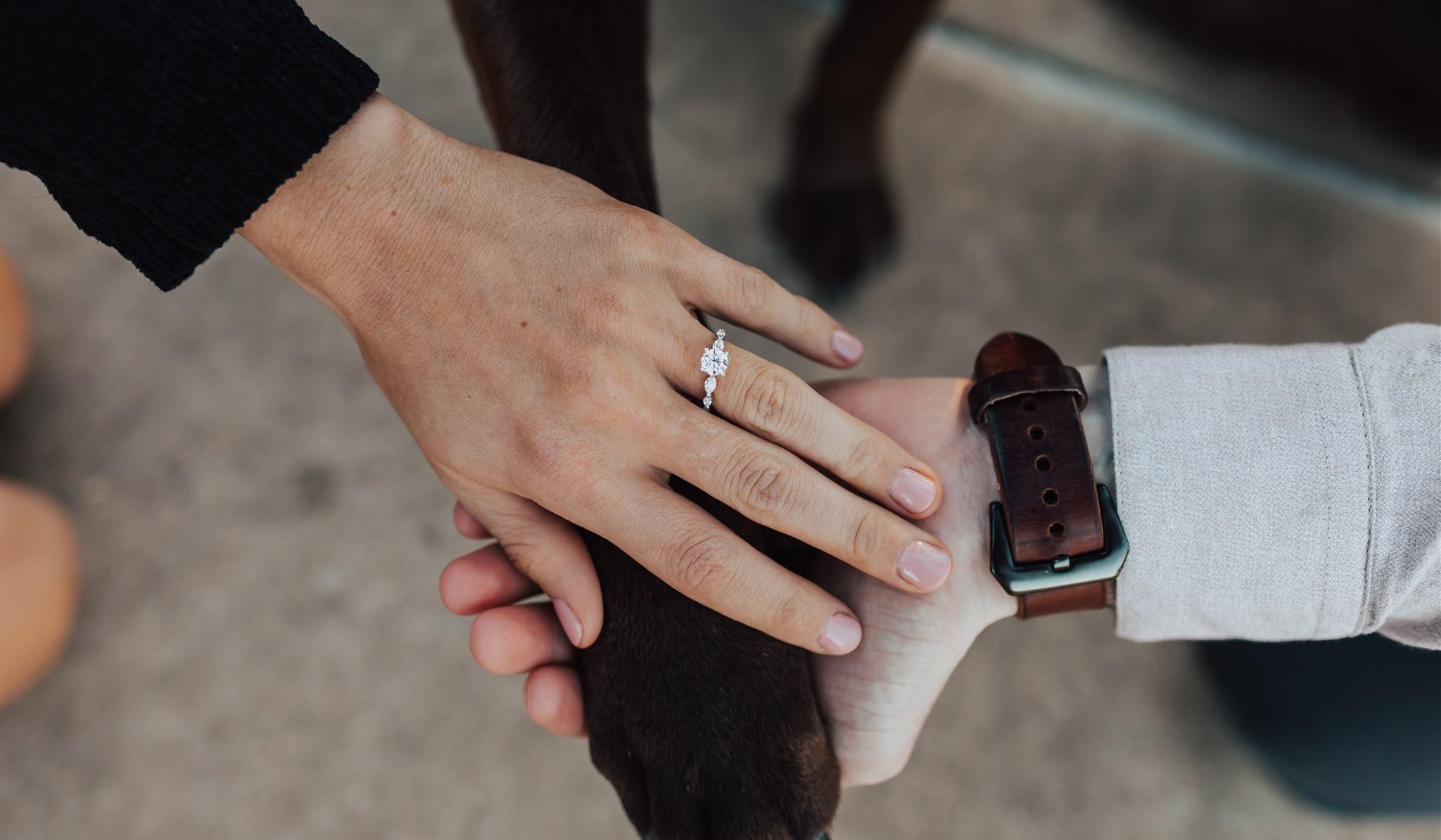 Lizzy Matejka and Zach Smegner's Wedding Website