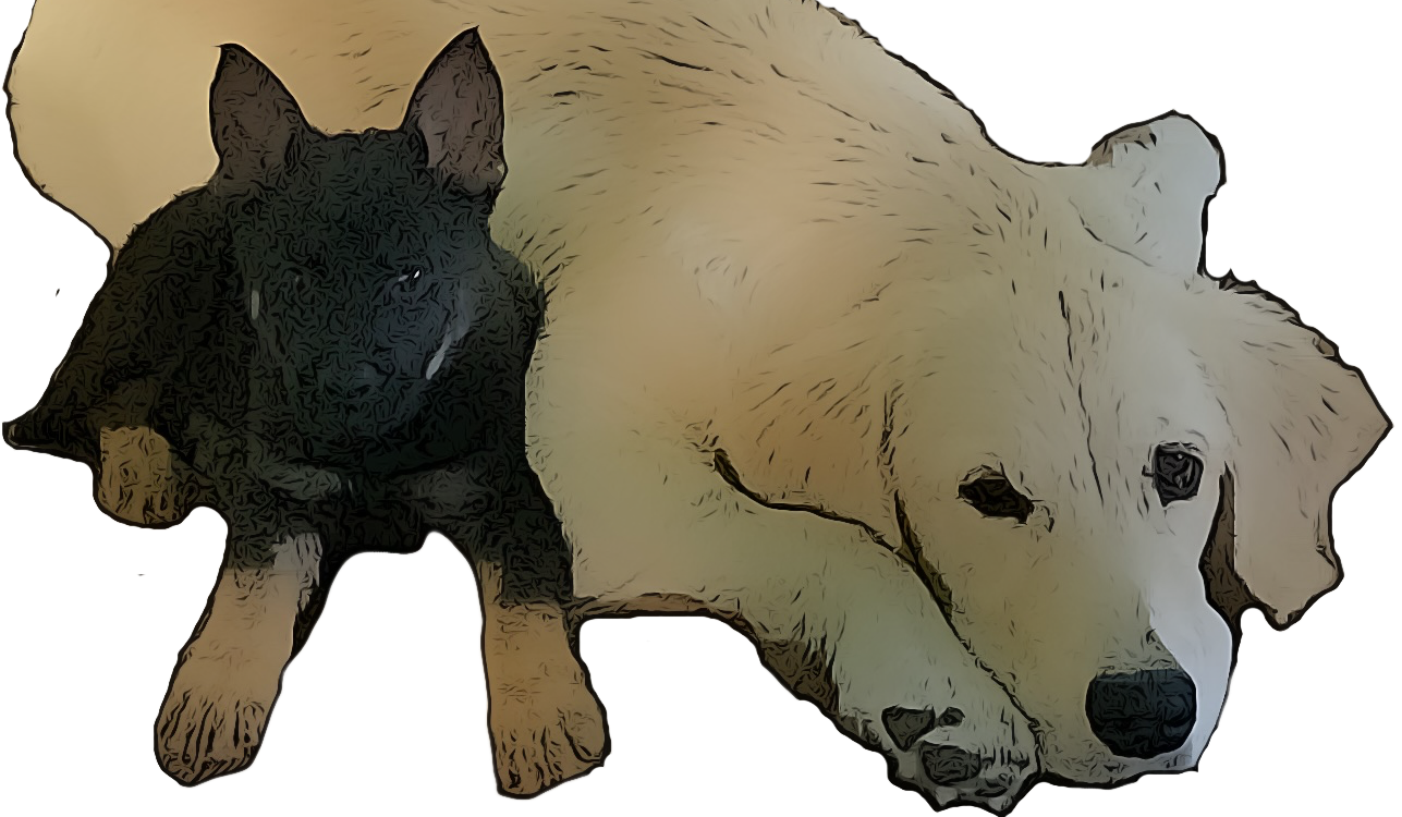 Elizabeth Fischer and Gerhard Veit's Wedding Website