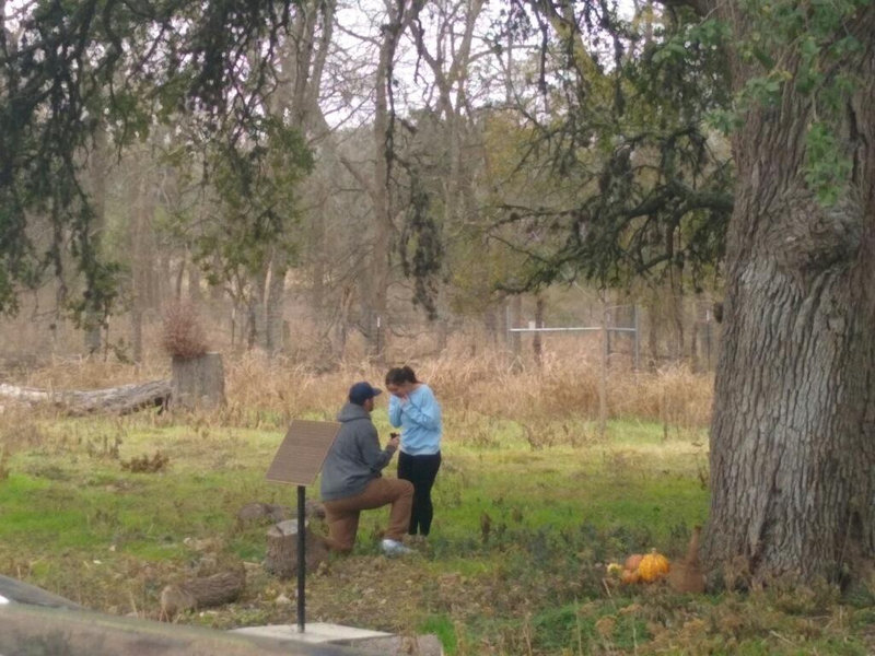 Tiffany Pate and Zachary MacLeod's Wedding Website