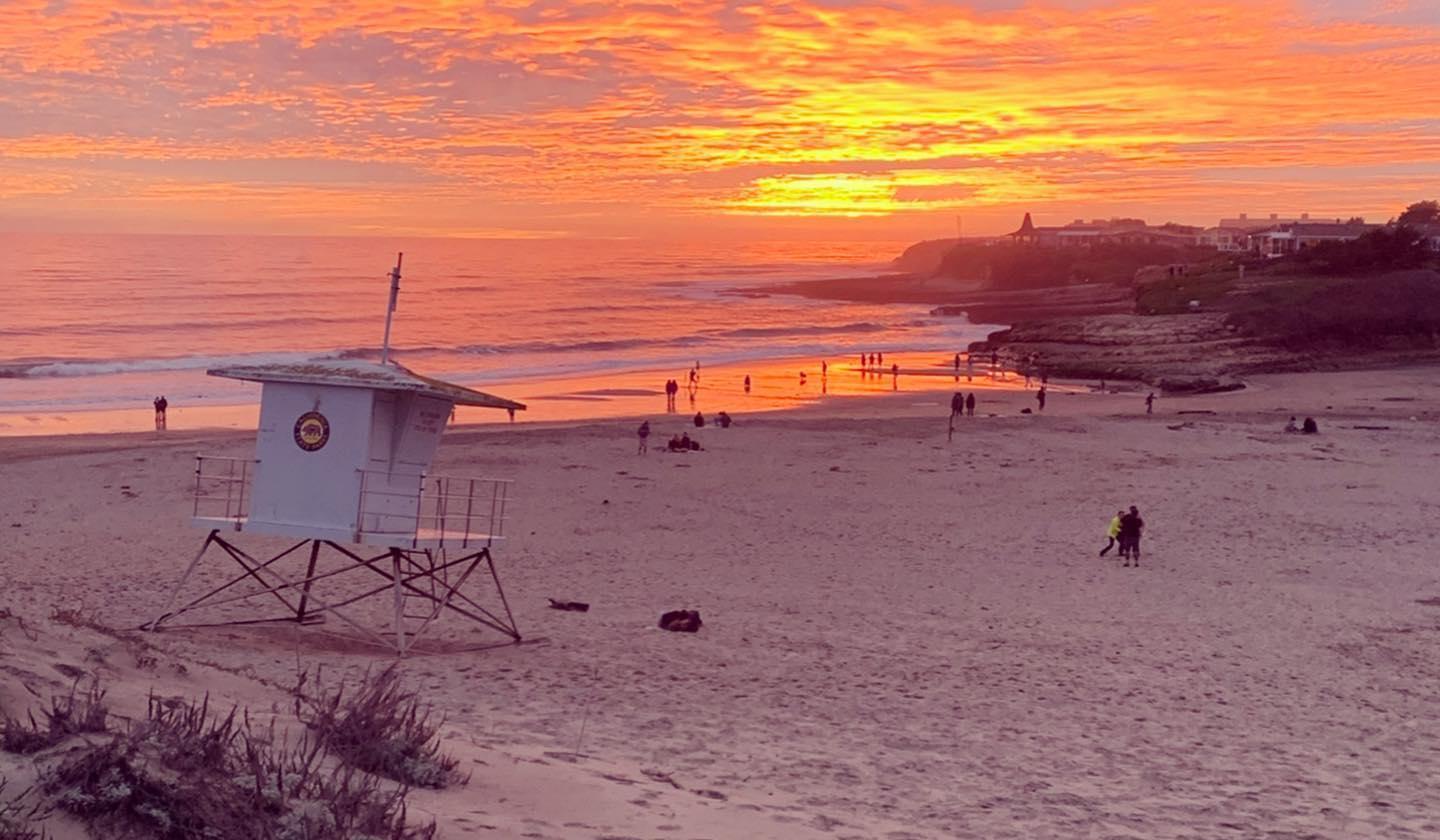 Veronica Przybylo and Andrew Westerman's Wedding Website