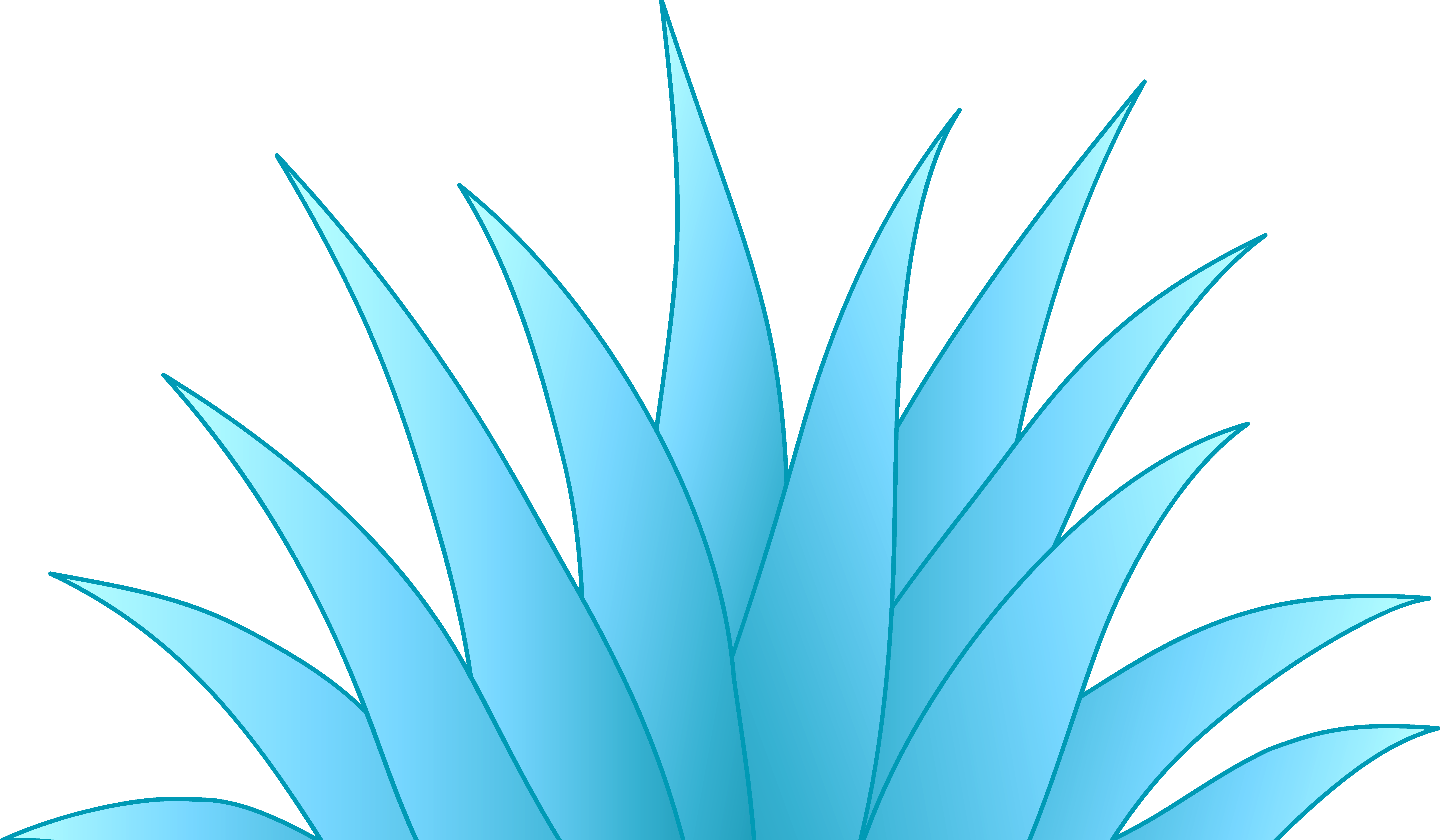 Dave Kussell and Sarah Lushan's Wedding Website