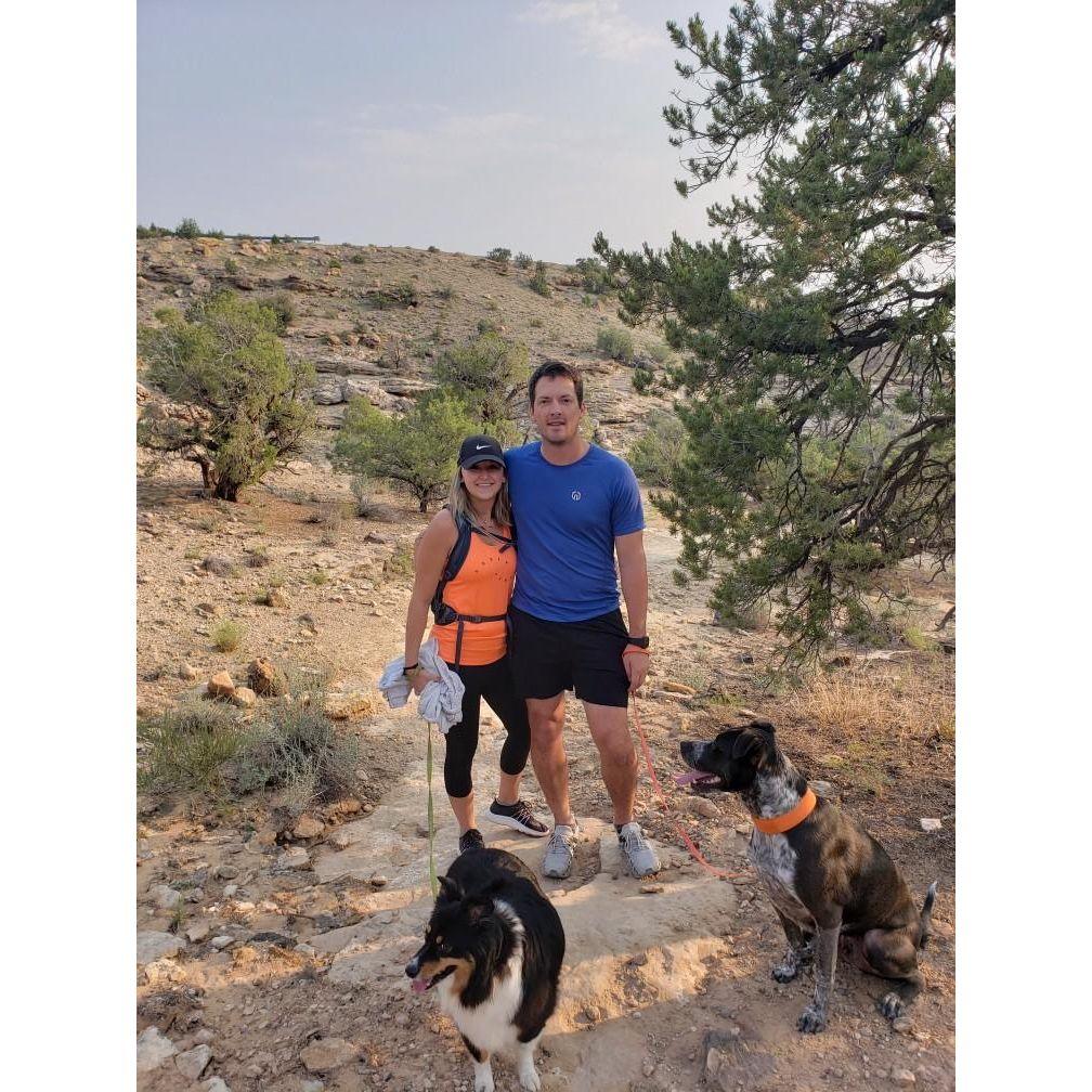 Erica Haydon and Jason Brown's Wedding Website