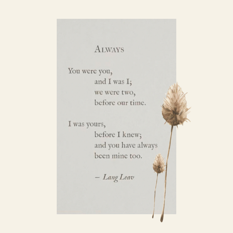 Cammie Hardesty and Barry Mitchell's Wedding Website