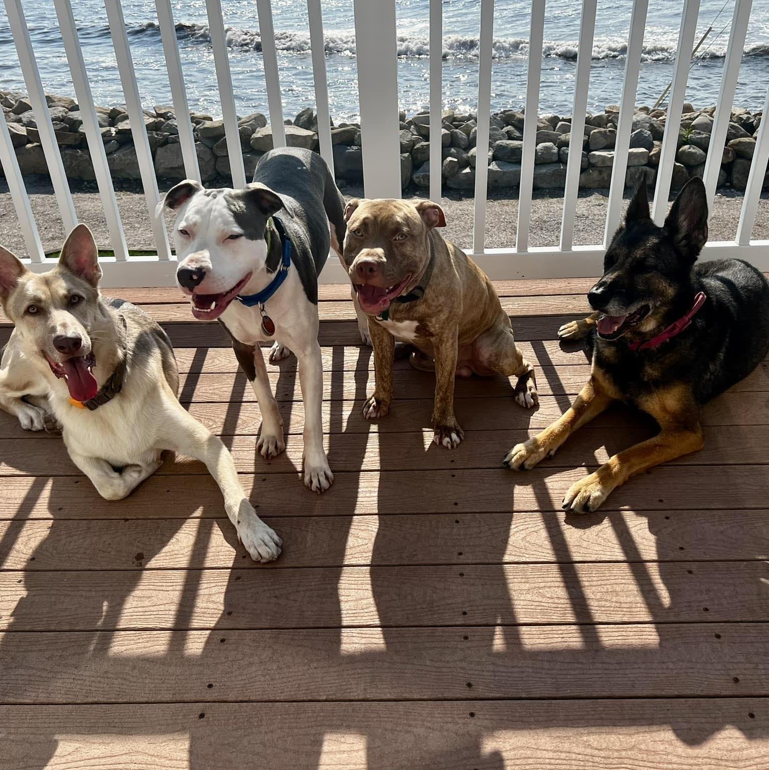 Brooke Bottomley and Nick Sanderson's Wedding Website