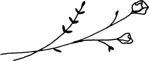 Kerry Hohenstein and Arleigh Dolph's Wedding Website