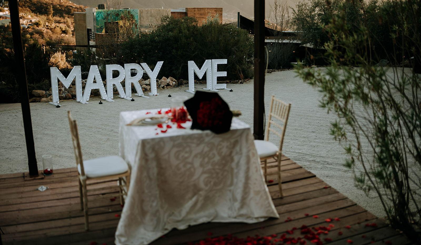 Michelle Guillen and Alejandro Martinez's Wedding Website