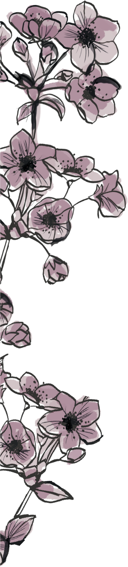 Matthew Kriek and Yansuri Ulloa's Wedding Website