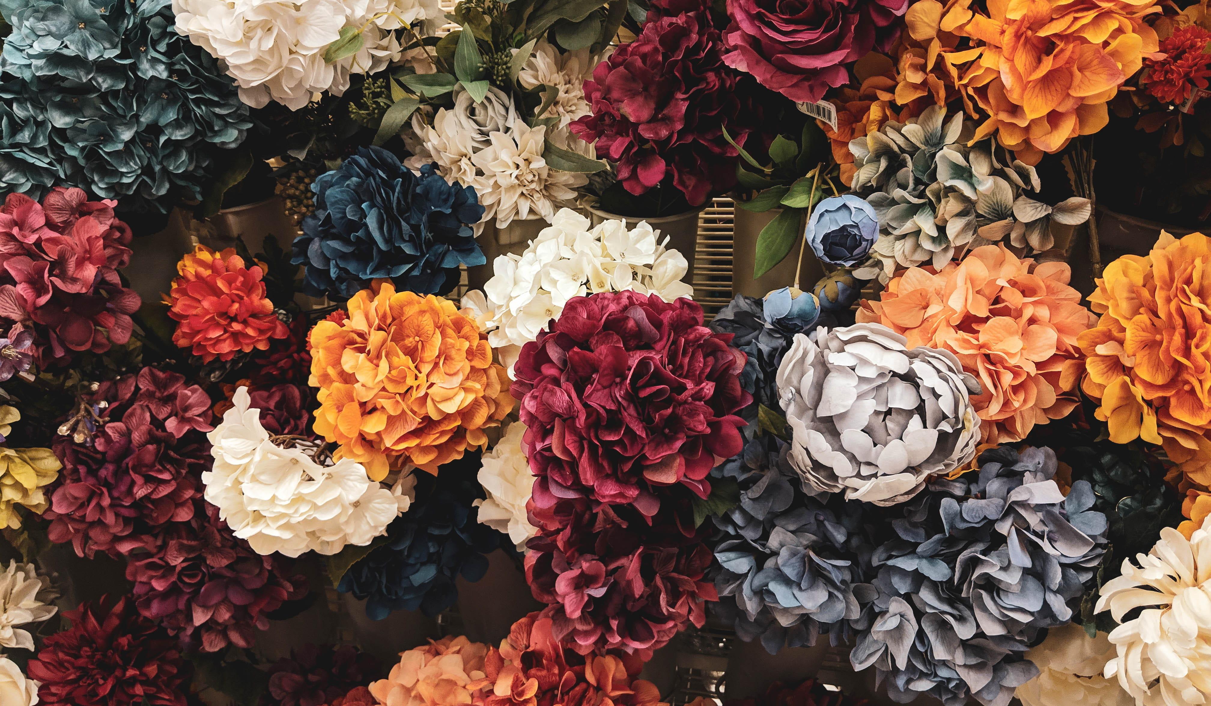 Diego Jasso and Audrey Andrade's Wedding Website