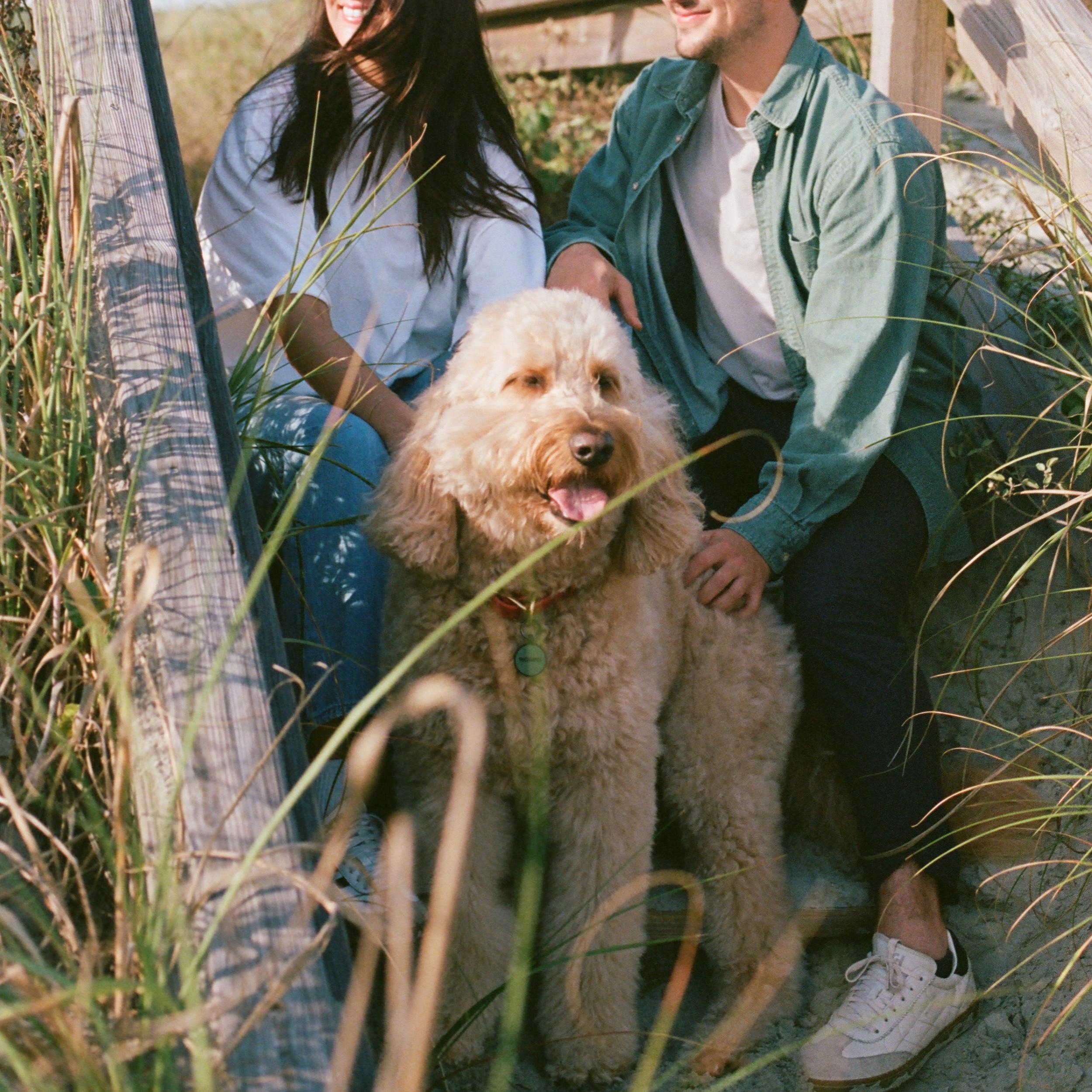 Hollis Brown and Nicholas Castellucci's Wedding Website