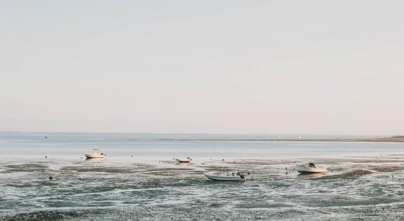 Taylor Everett and John Callahan's Wedding Website