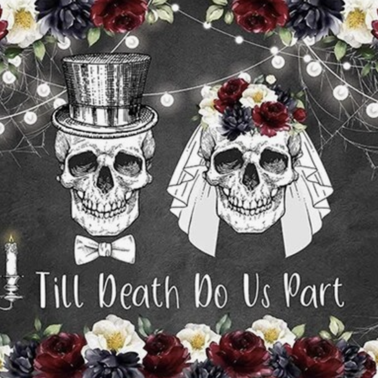 Dana Prebis and Michael Bisson's Wedding Website