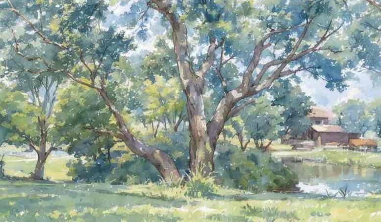 Jade h and Joe m's Wedding Website