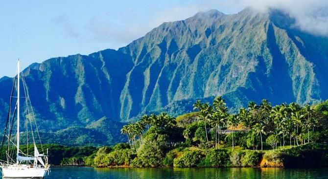 Becca Rowland and Donnie Grey's Wedding Website