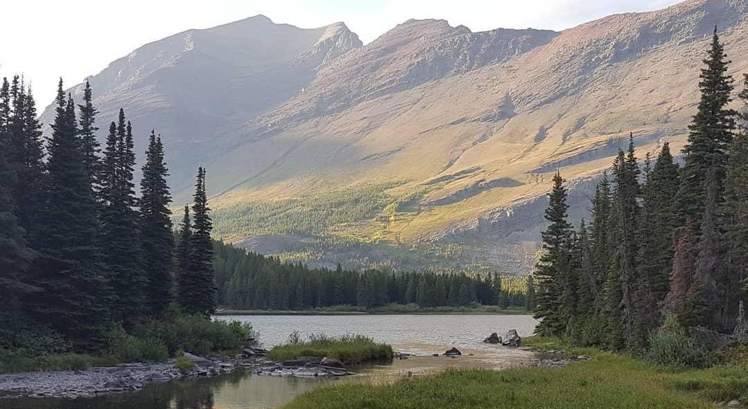 Jaime Mulligan and Sam Kohn's Wedding Website