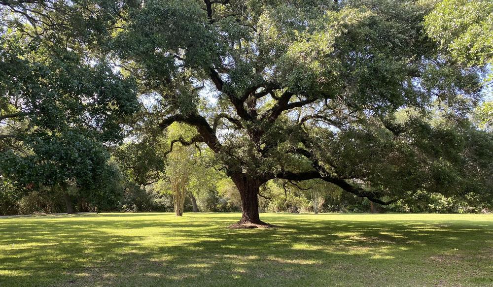 Maddie Ritchie and Kevin Trisko's Wedding Website