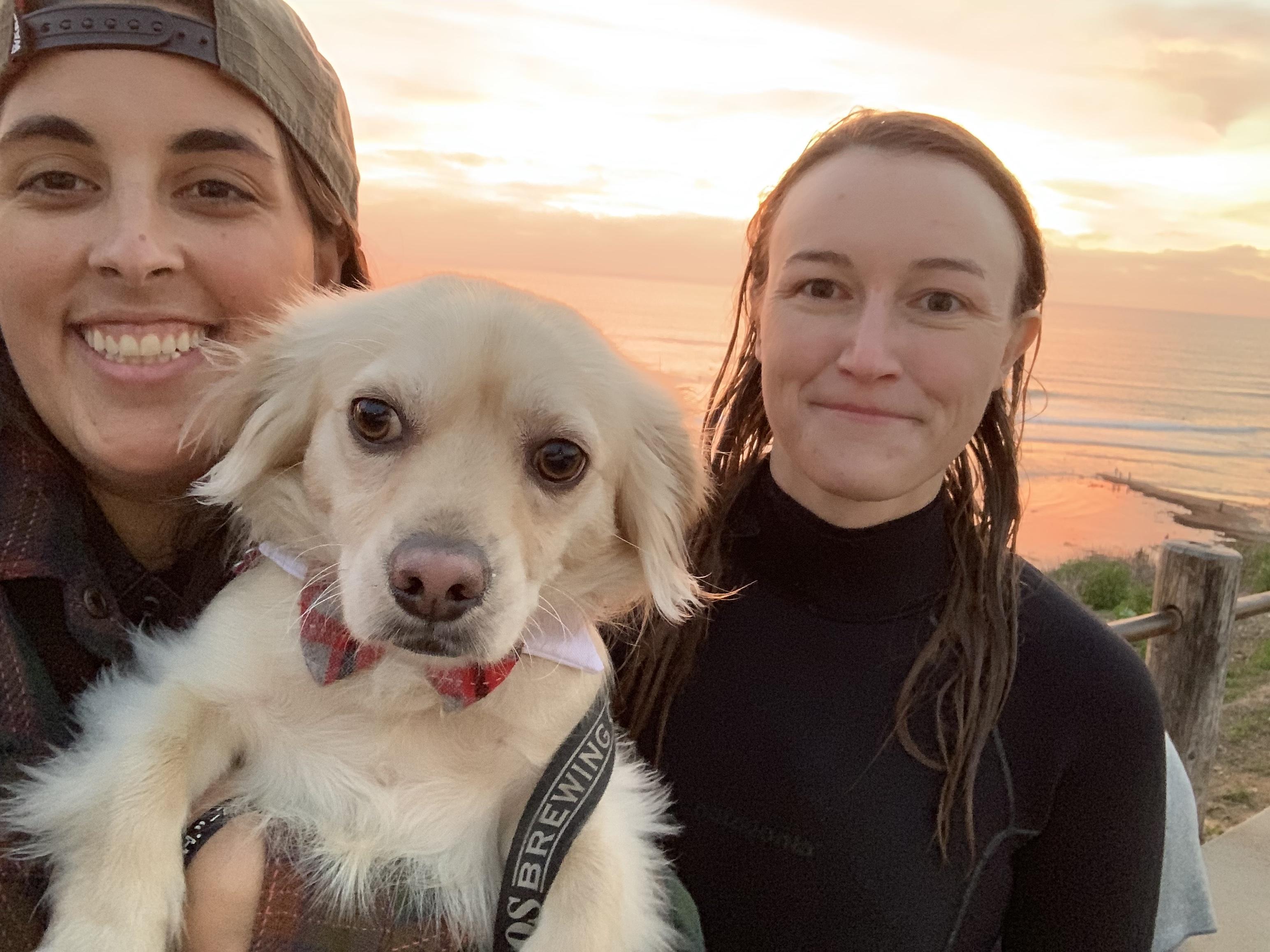 Christina Cooper and Lauren Wilson's Wedding Website