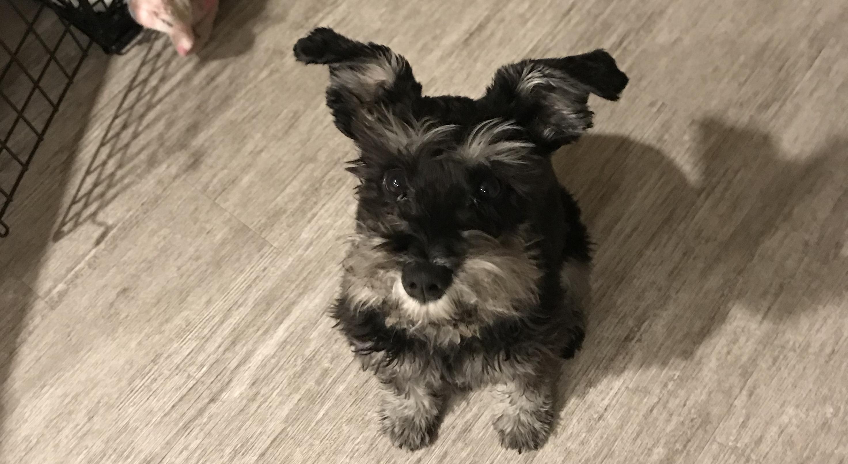 Kara Ewing and Dave Esquibel's Wedding Website