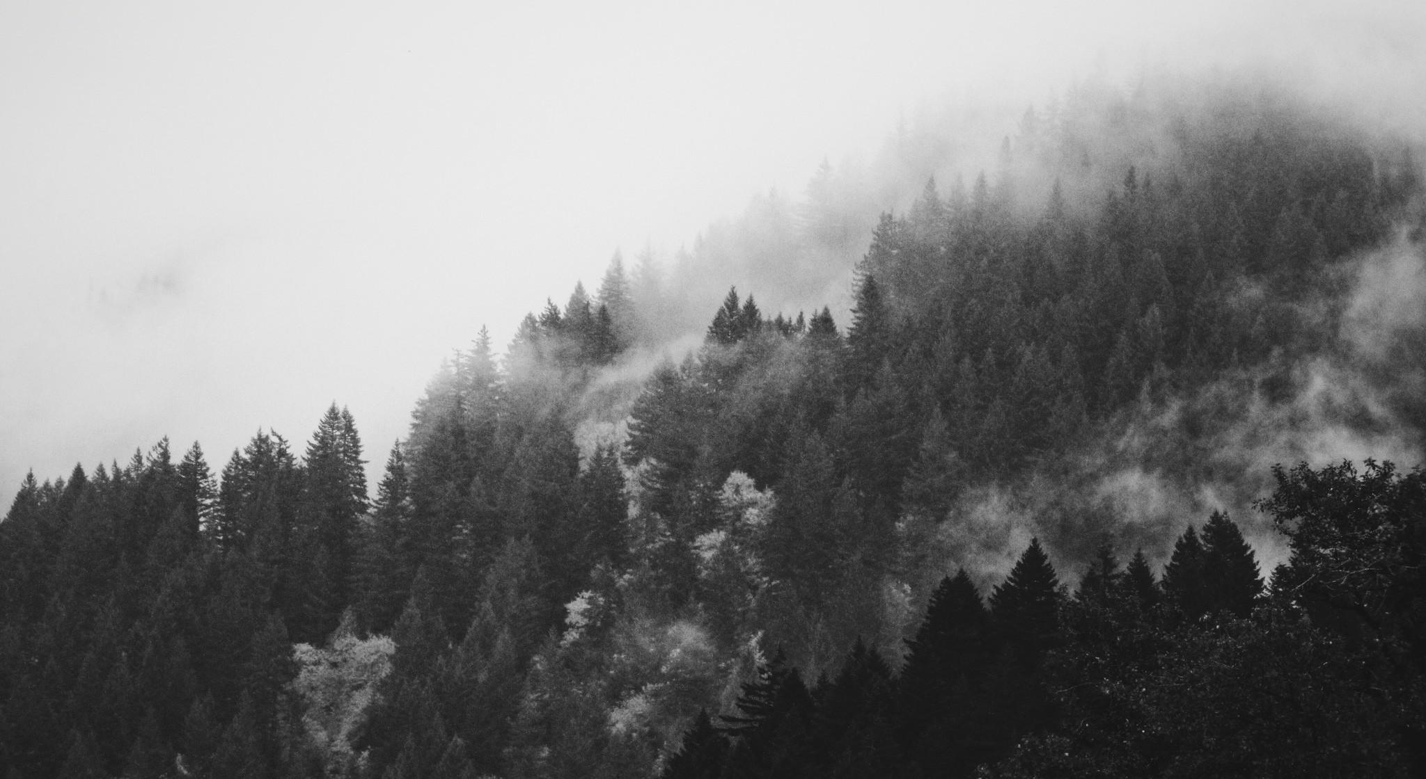 Elise Elkins and Jeremy Souza's Wedding Website