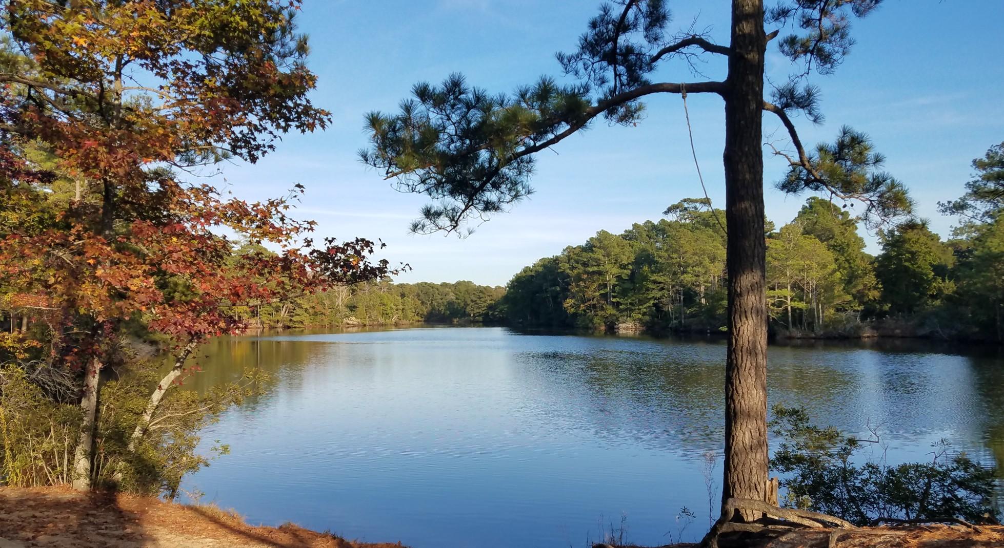 Marina Cables and Blake Gordon's Wedding Website