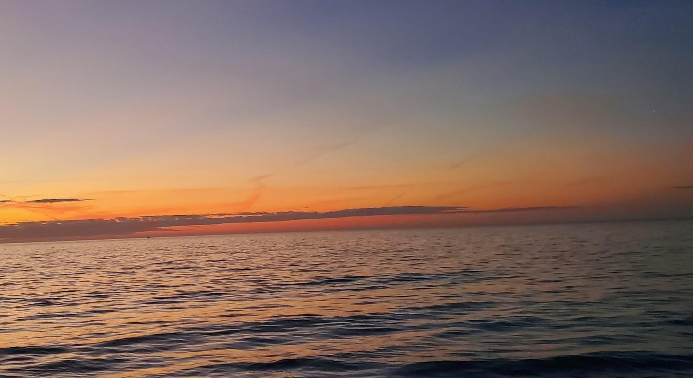 Laura Fiss and James Simpkiss' Wedding Website