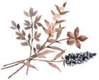 Janet Schirm and Sam Buxton's Wedding Website