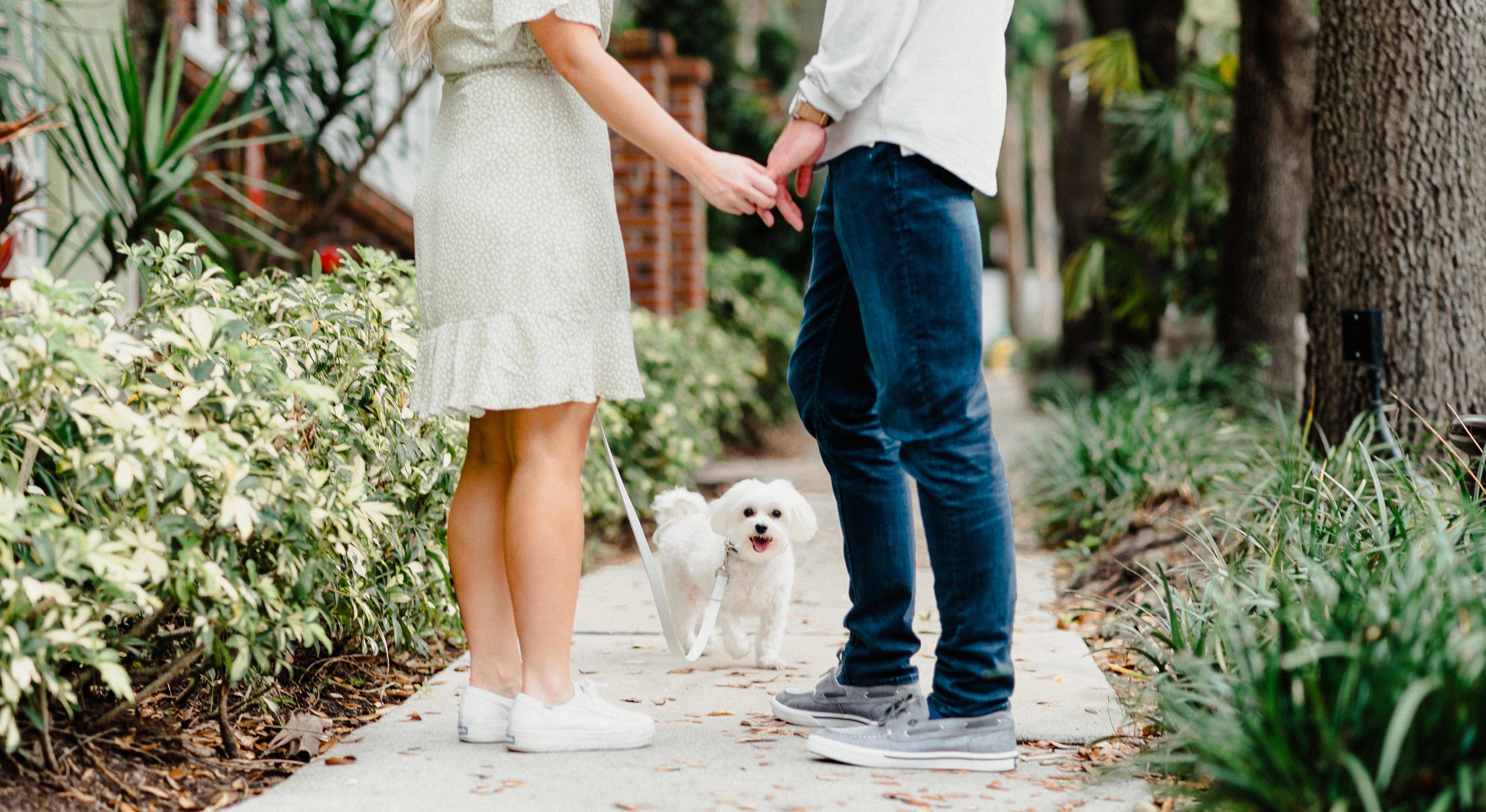 Alina Laramee and Chris Colleary's Wedding Website