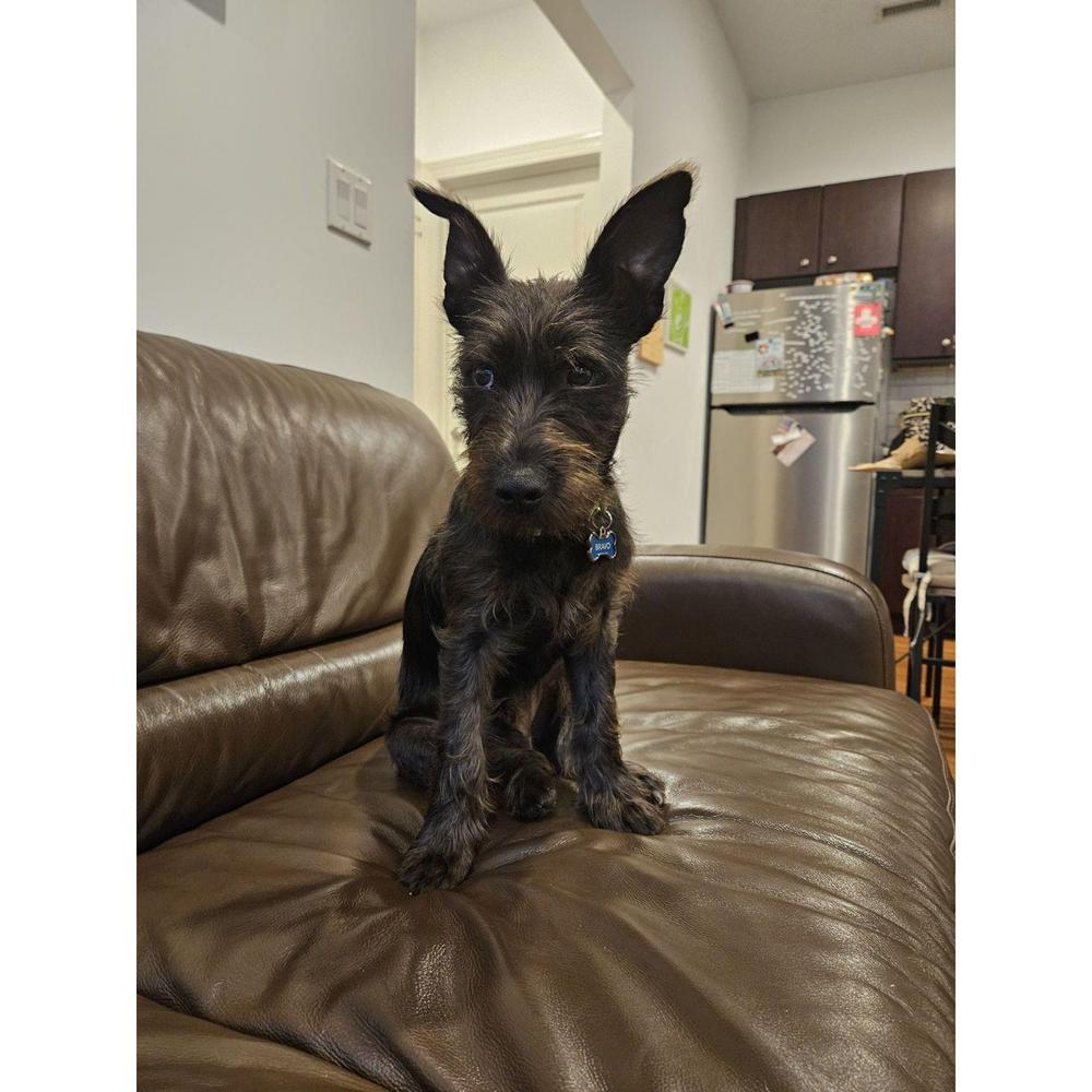 Samuel Scheiner and Ella Damstra's Wedding Website