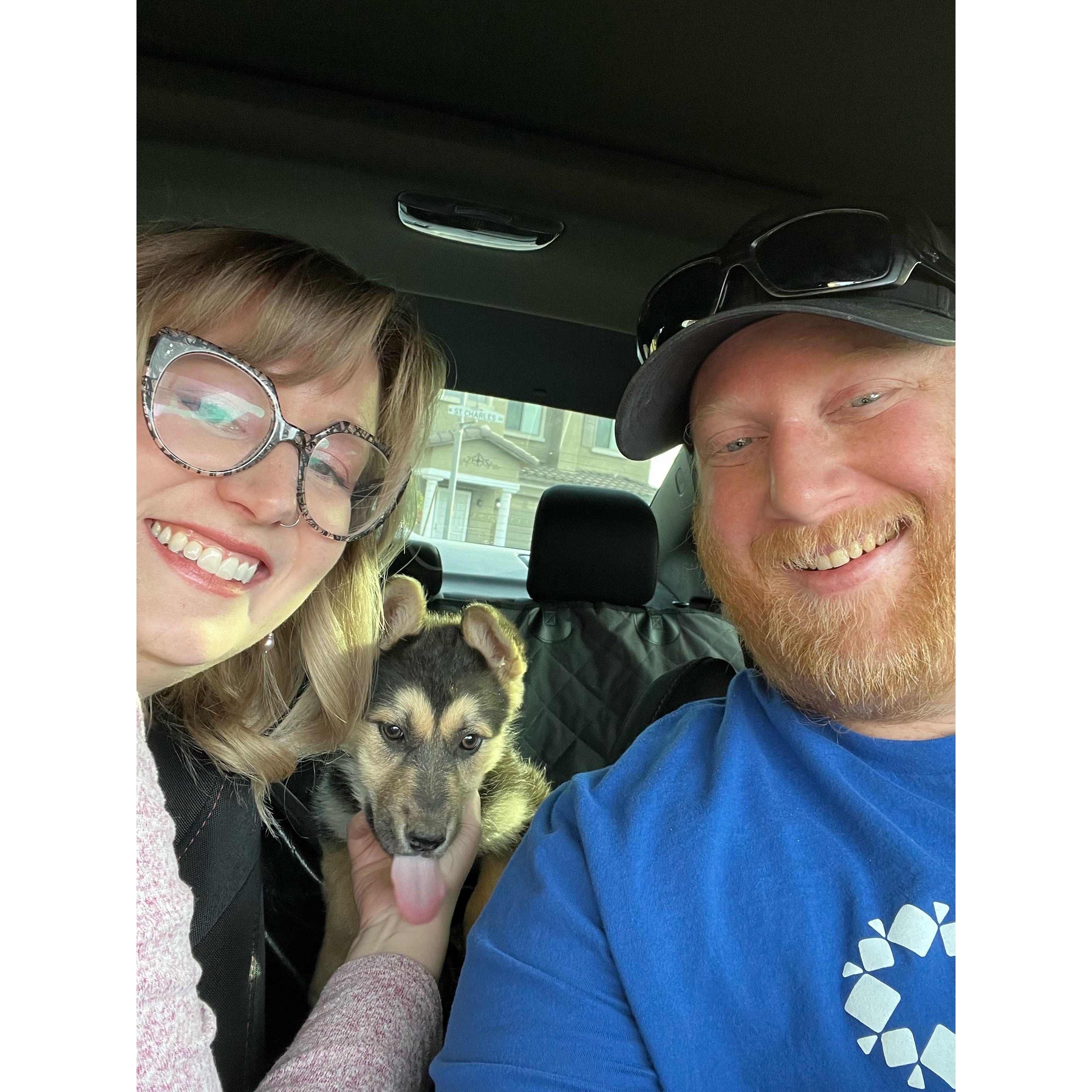 Madeline Quinlan and Barton Hohimer's Wedding Website