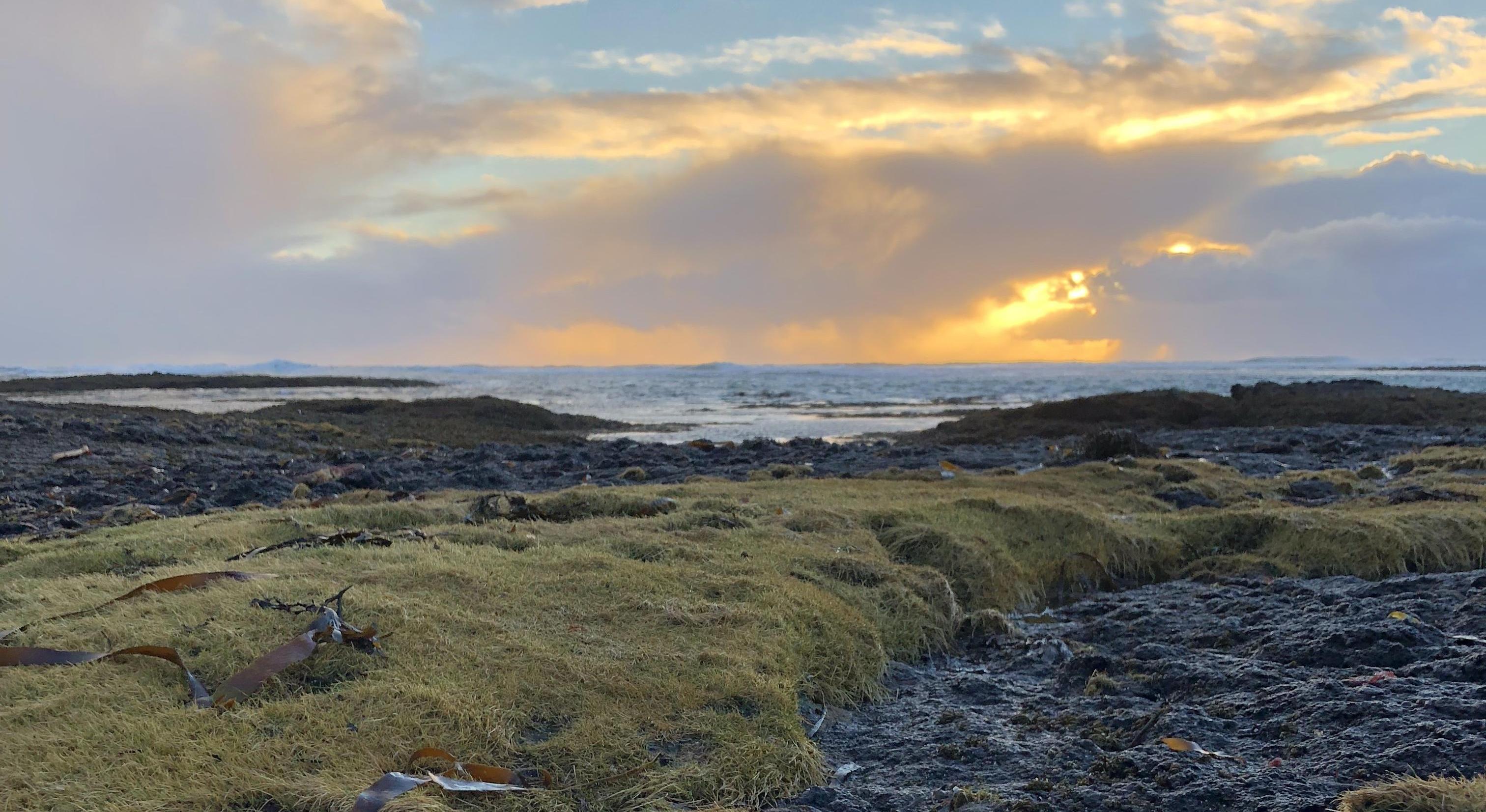 Robin Glaser and Andre Havrylyshyn's Wedding Website