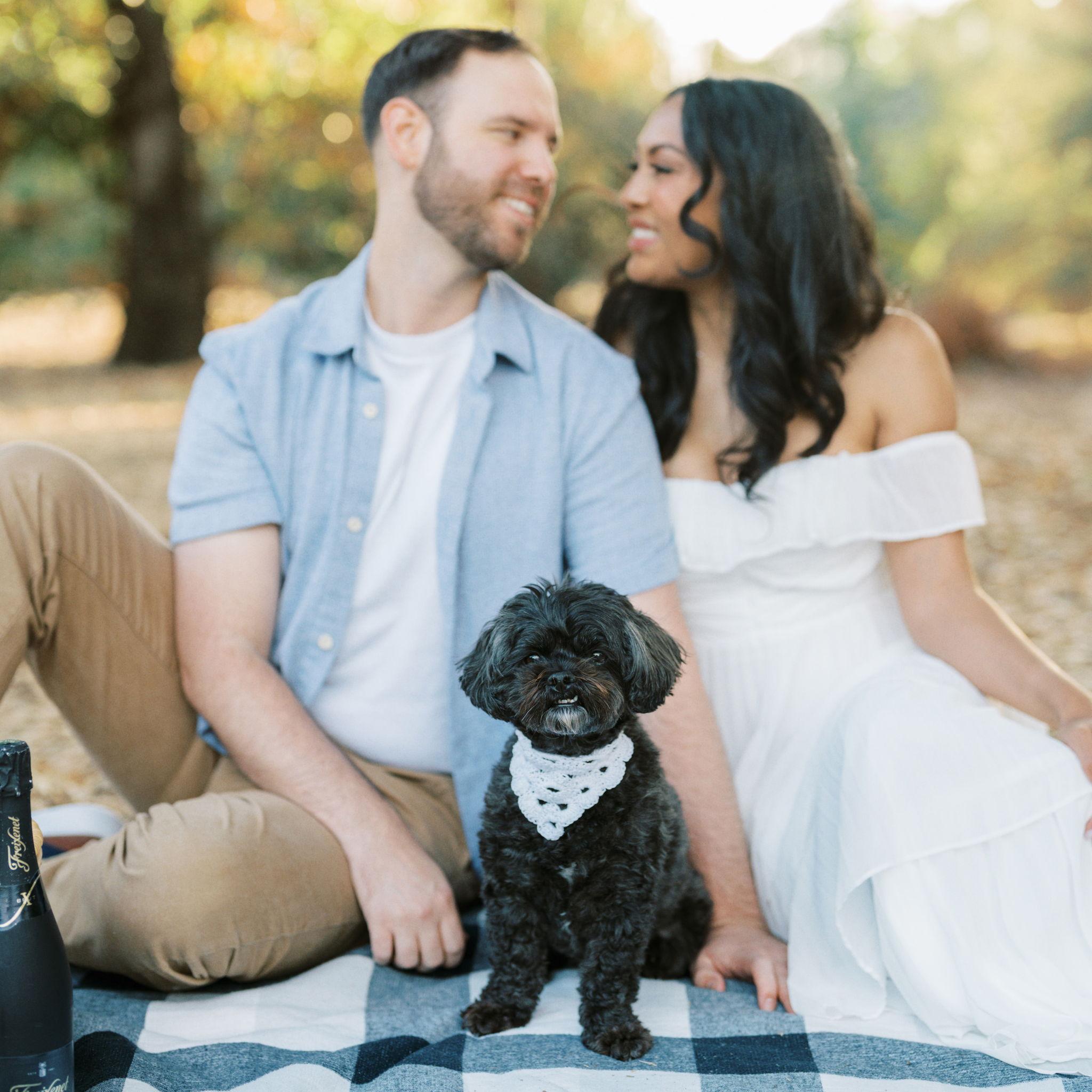 Kristine Baker and Trevor Dimich's Wedding Website