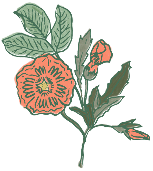 Kathleen Lewis and Thomas Ansorge's Wedding Website