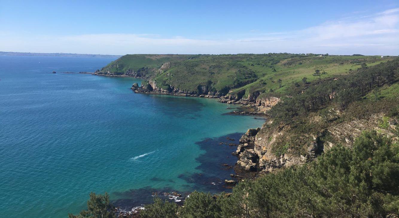 Eliane Villarrubia and Simon Michau's Wedding Website