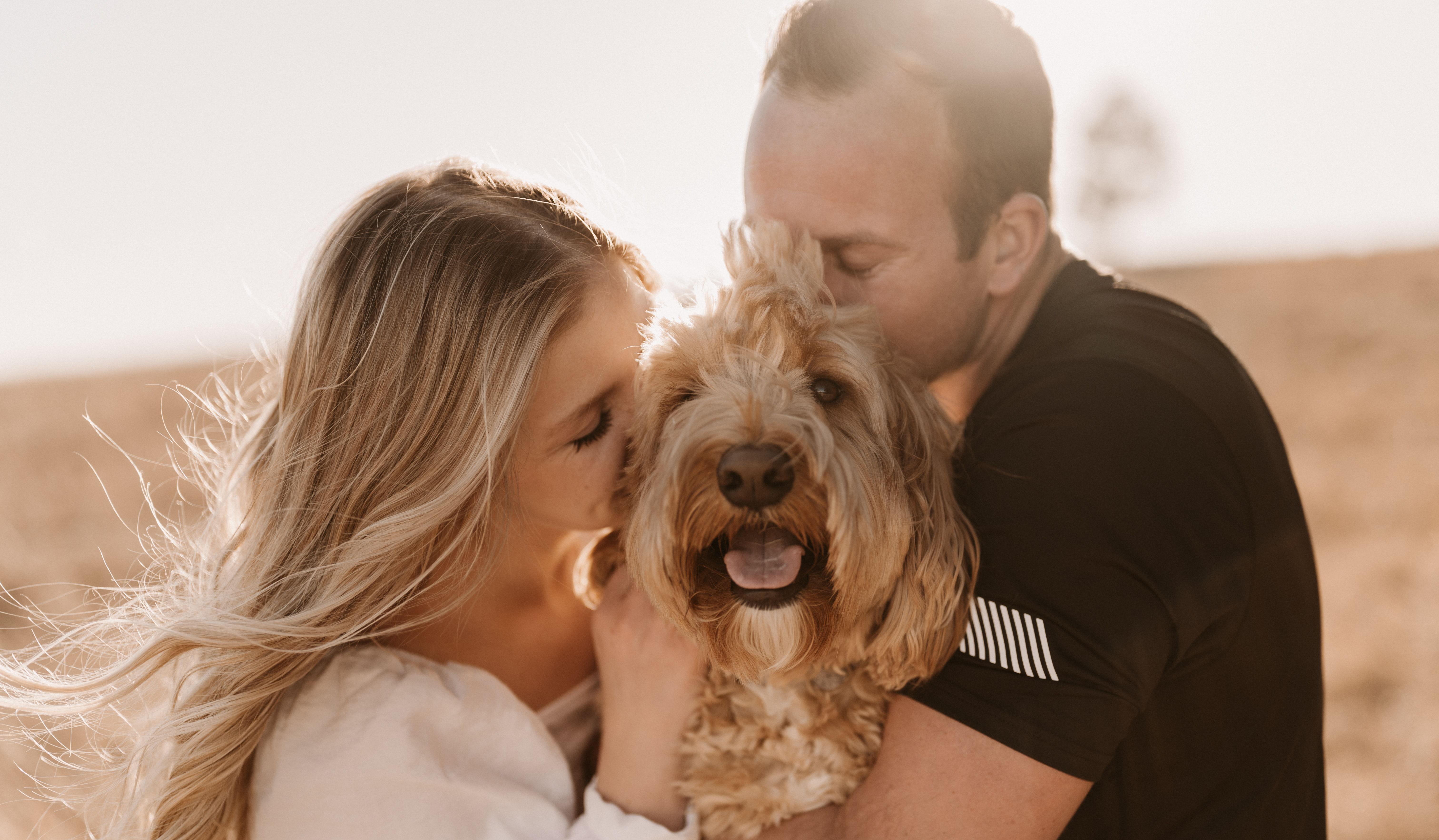 Emily Bengson and Andrew Kopp's Wedding Website