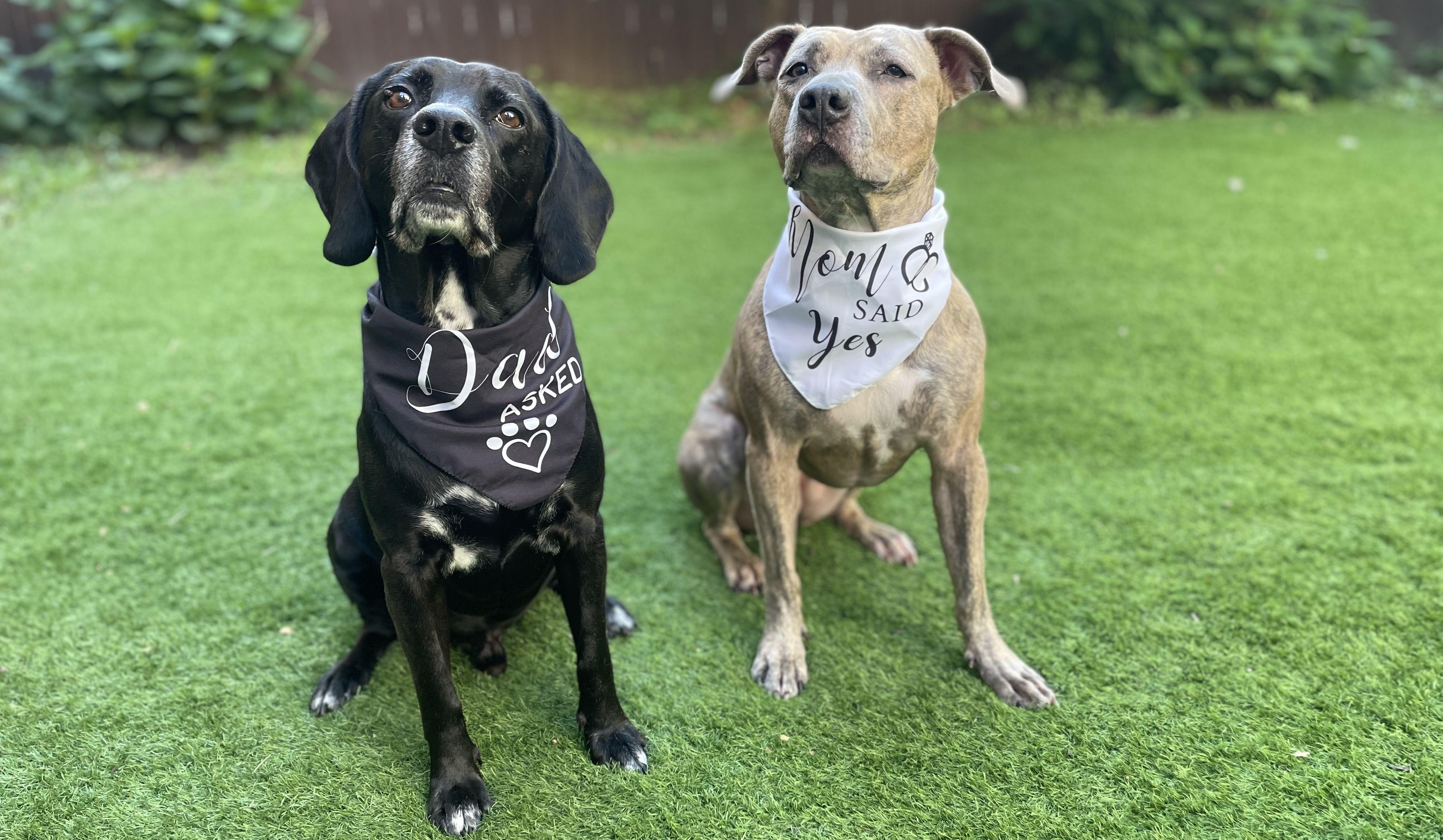 Jessica VanValkenburg and Matthew Polhemus' Wedding Website