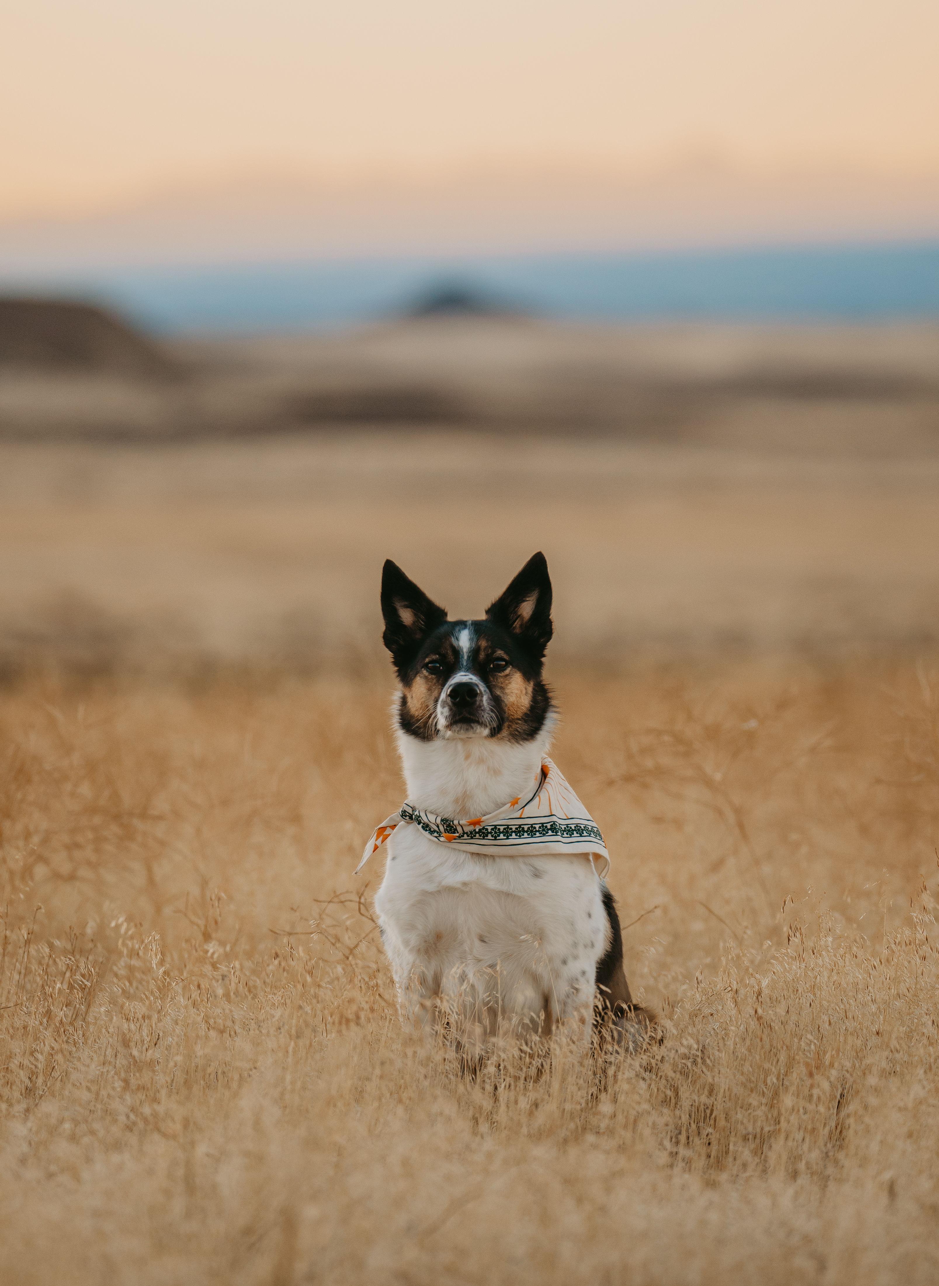 Amy Rubenstein and Nicholas Iafelice's Wedding Website