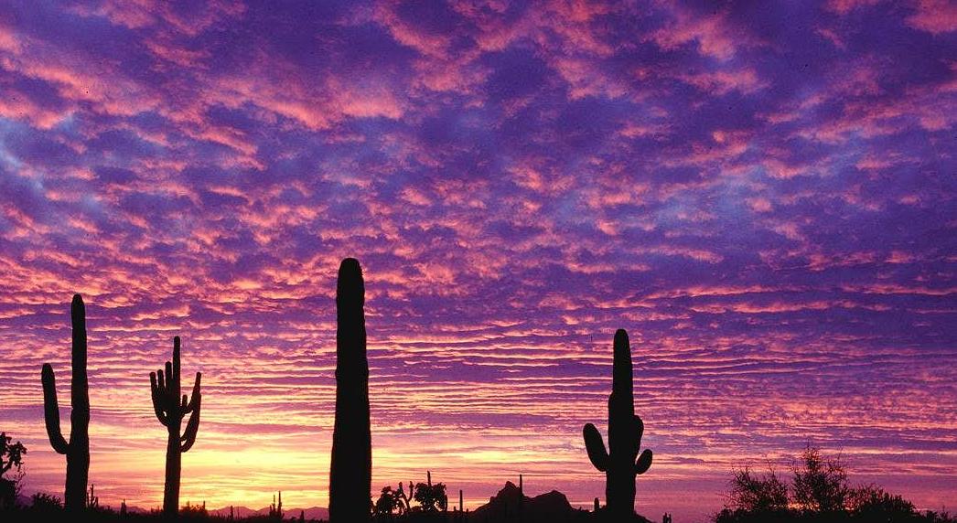 Marisa Jones and Jake Tago's Wedding Website