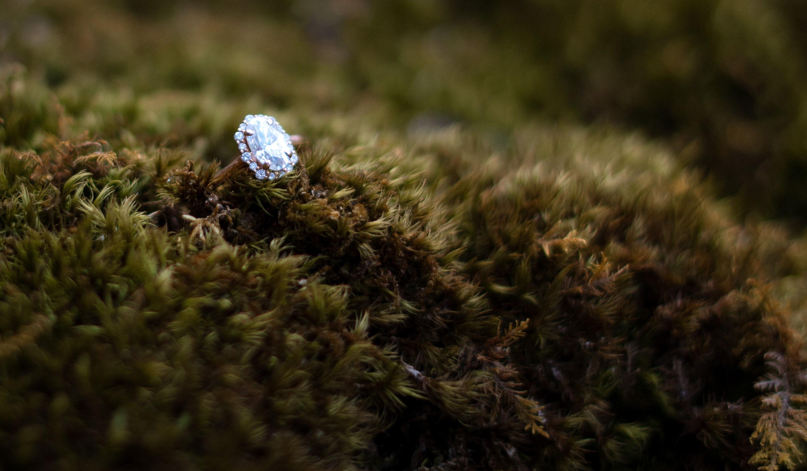 Rena Nelson and Jacob Houser's Wedding Website