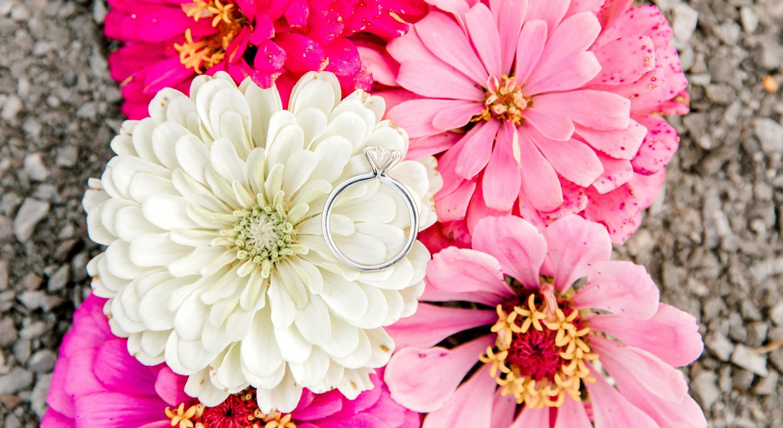 Hannah-Kate Schlegel and Austin Gough's Wedding Website