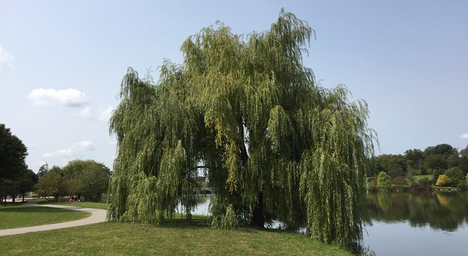 Katie Mullaney and Kris Charney's Wedding Website