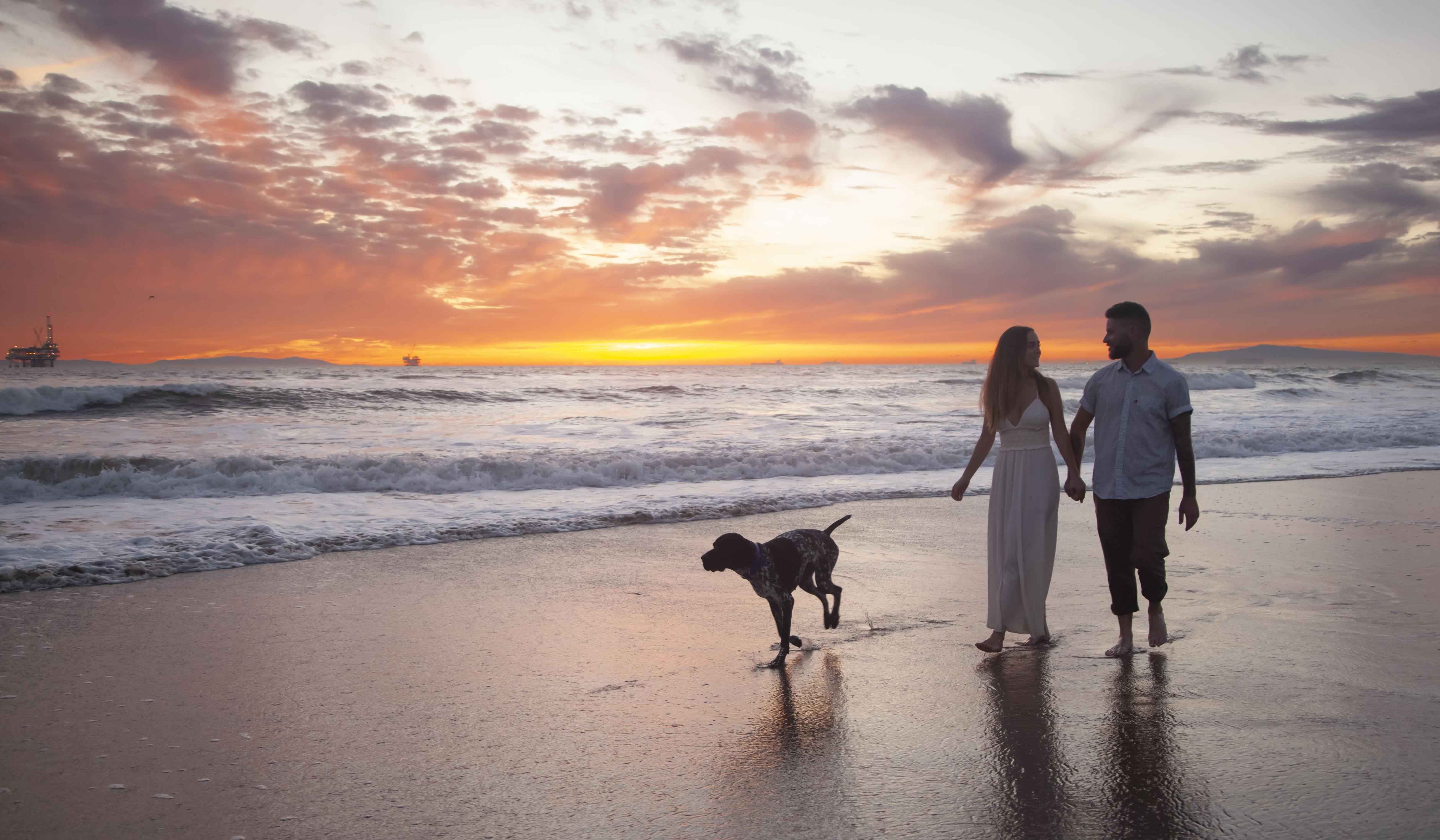 Elena Domingo Calvete and Steven Ulrich's Wedding Website