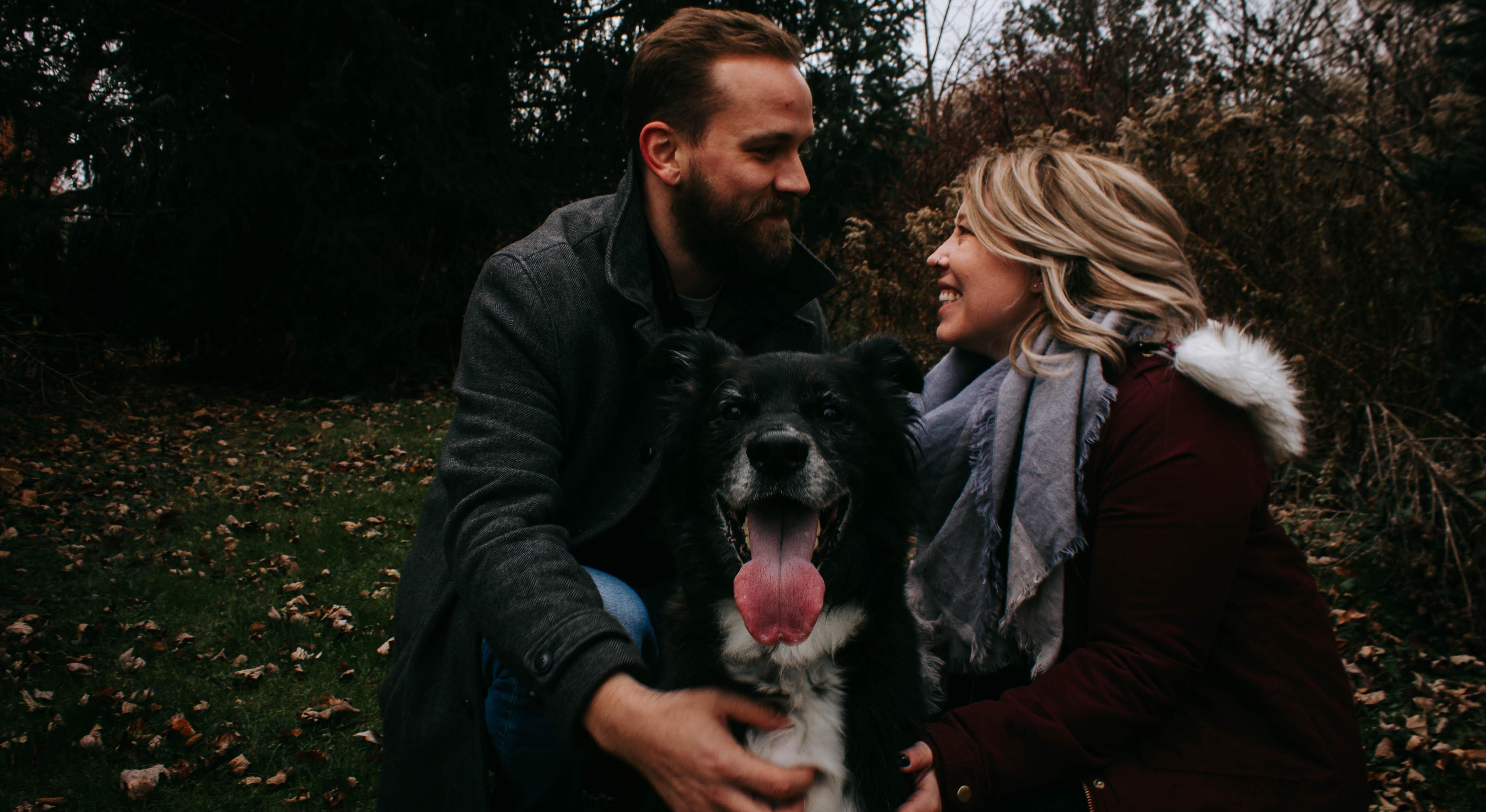 Jessica Petereit and David Bushell's Wedding Website