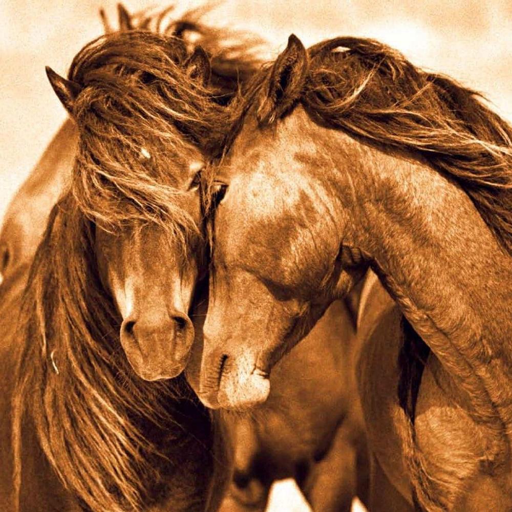 Nora Allison and Zachary Nixon's Wedding Website