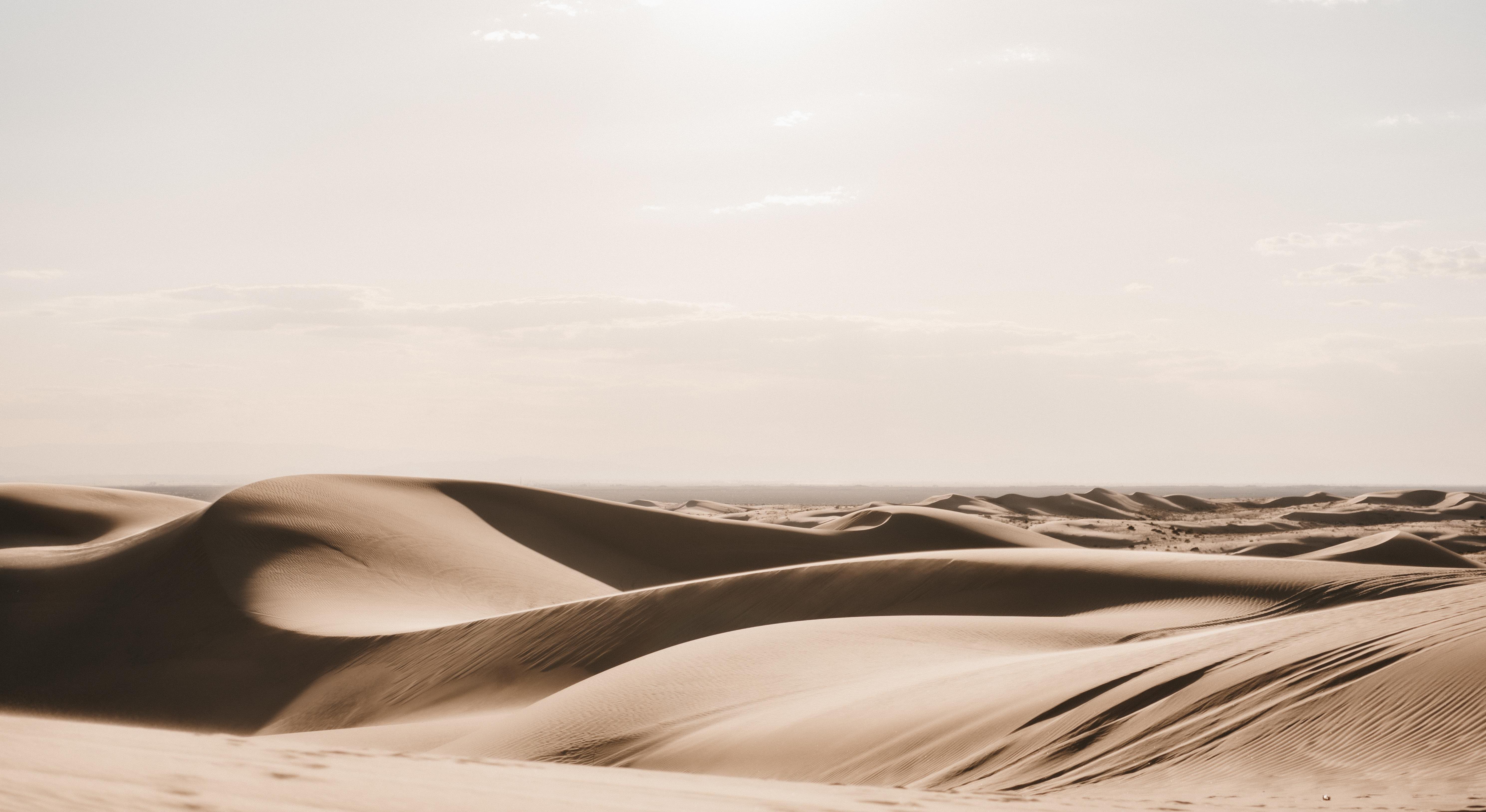 Lauren Pennell and Eric Gauer's Wedding Website