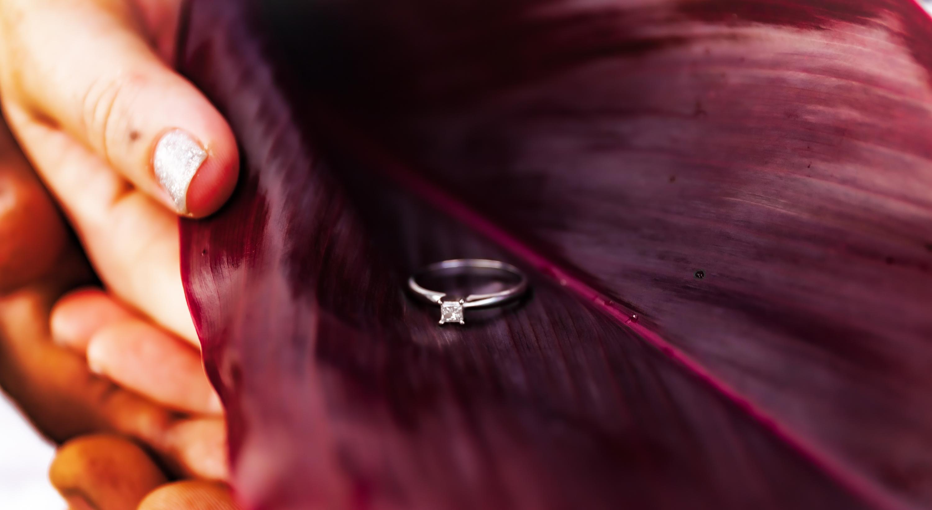 Miranda Thomas and Leroy Ridgway's Wedding Website