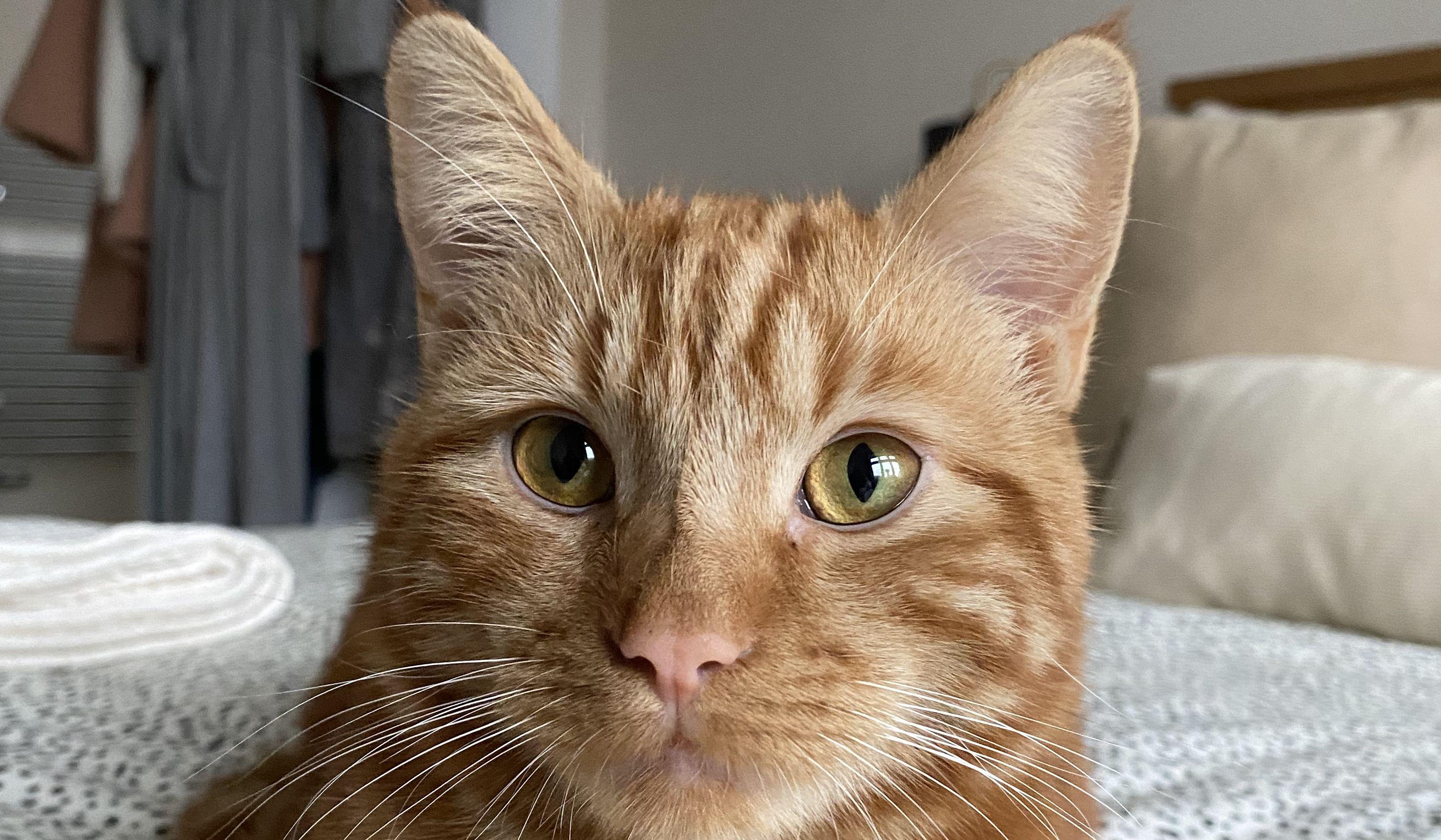 Sophie Arrowsmith and Sam Uminski's Wedding Website