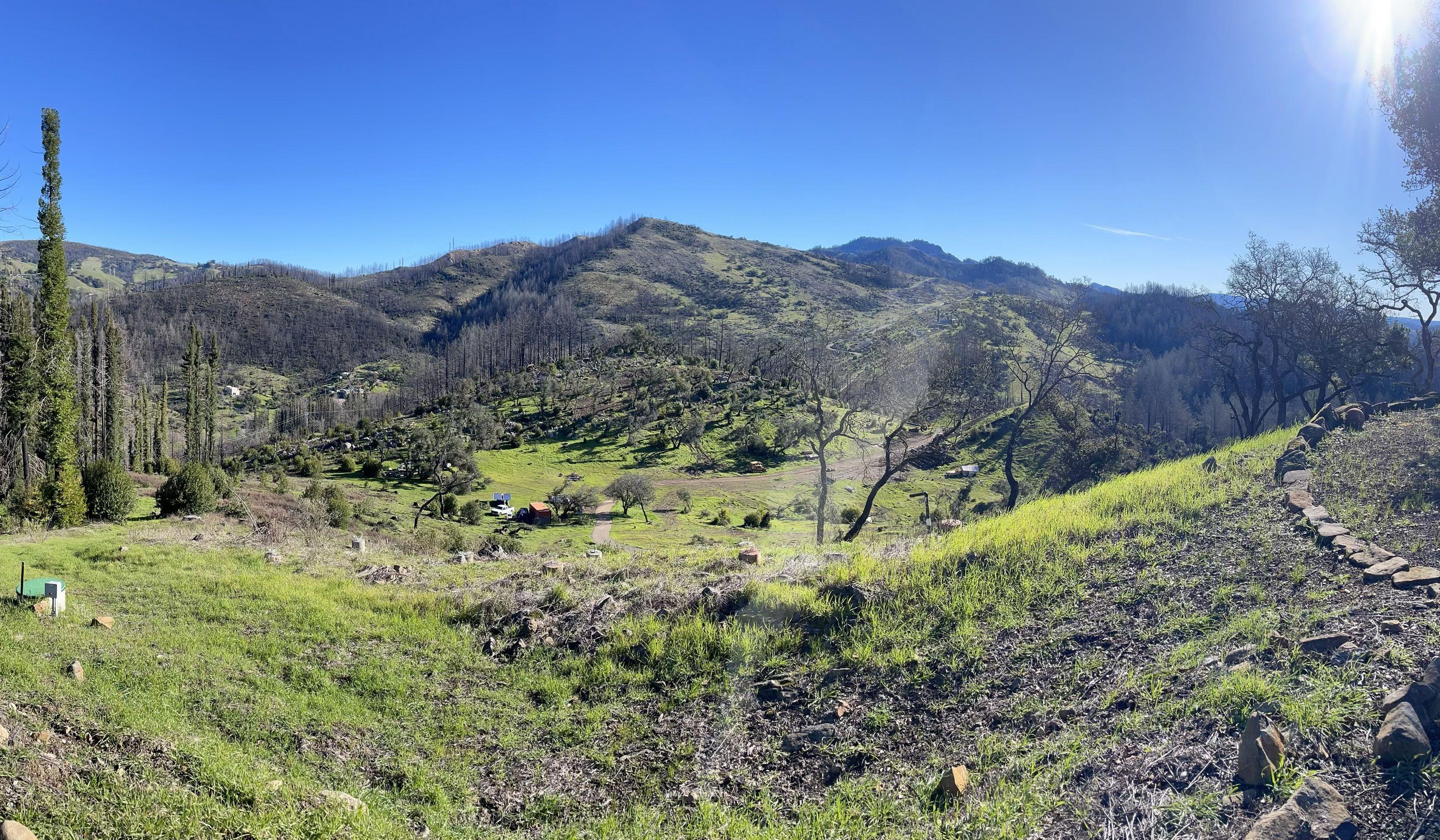 Susan King and Bill Guthrie's Wedding Website