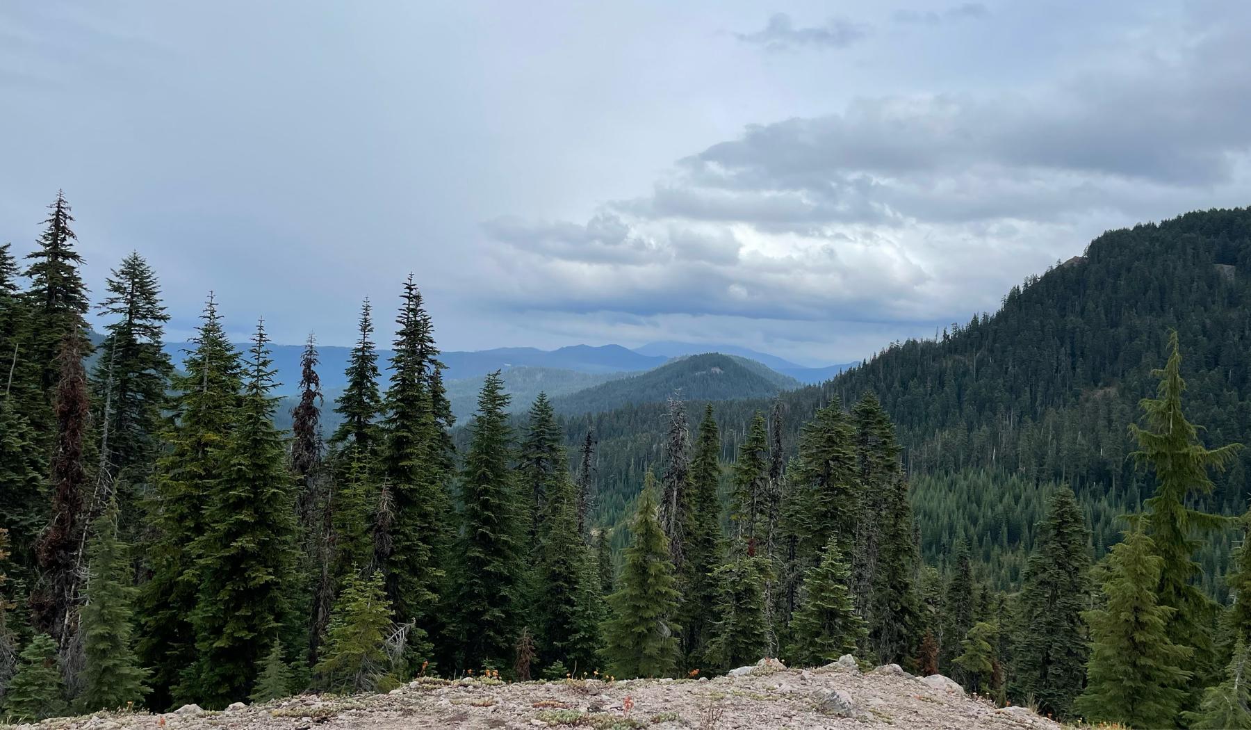 Madison Coffey and Ian Quimby's Wedding Website