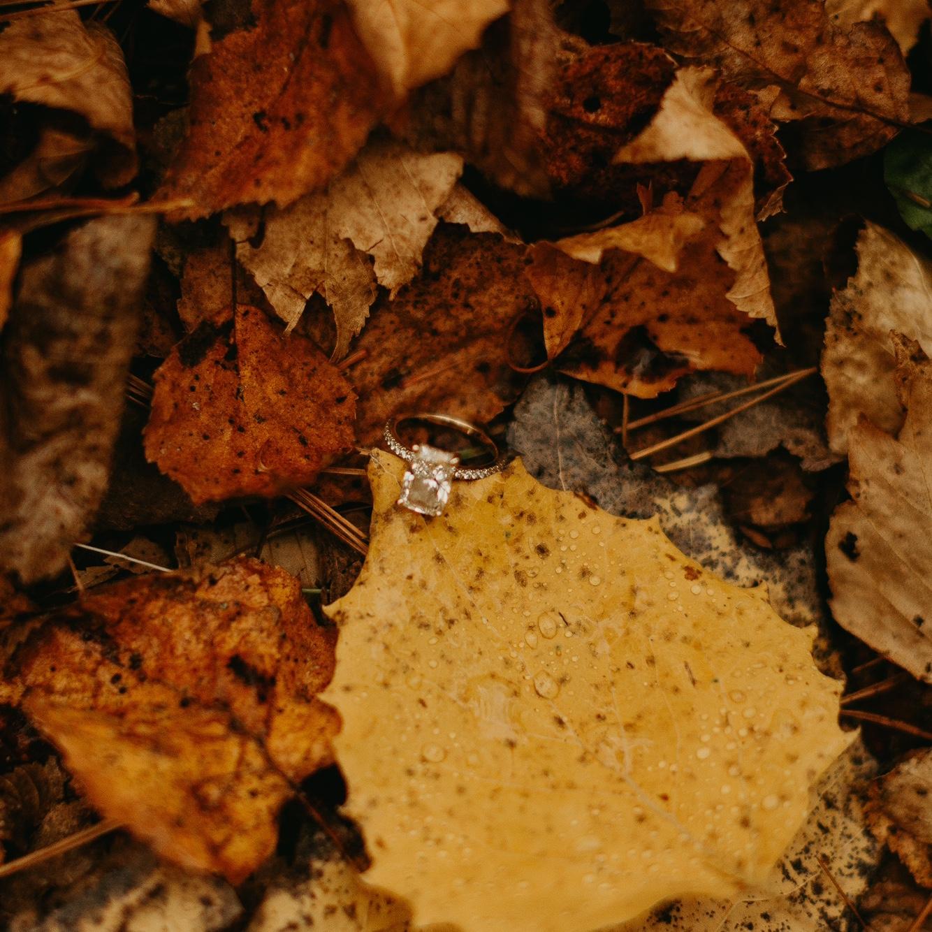 Hailey Decker and Wyatt Fink's Wedding Website